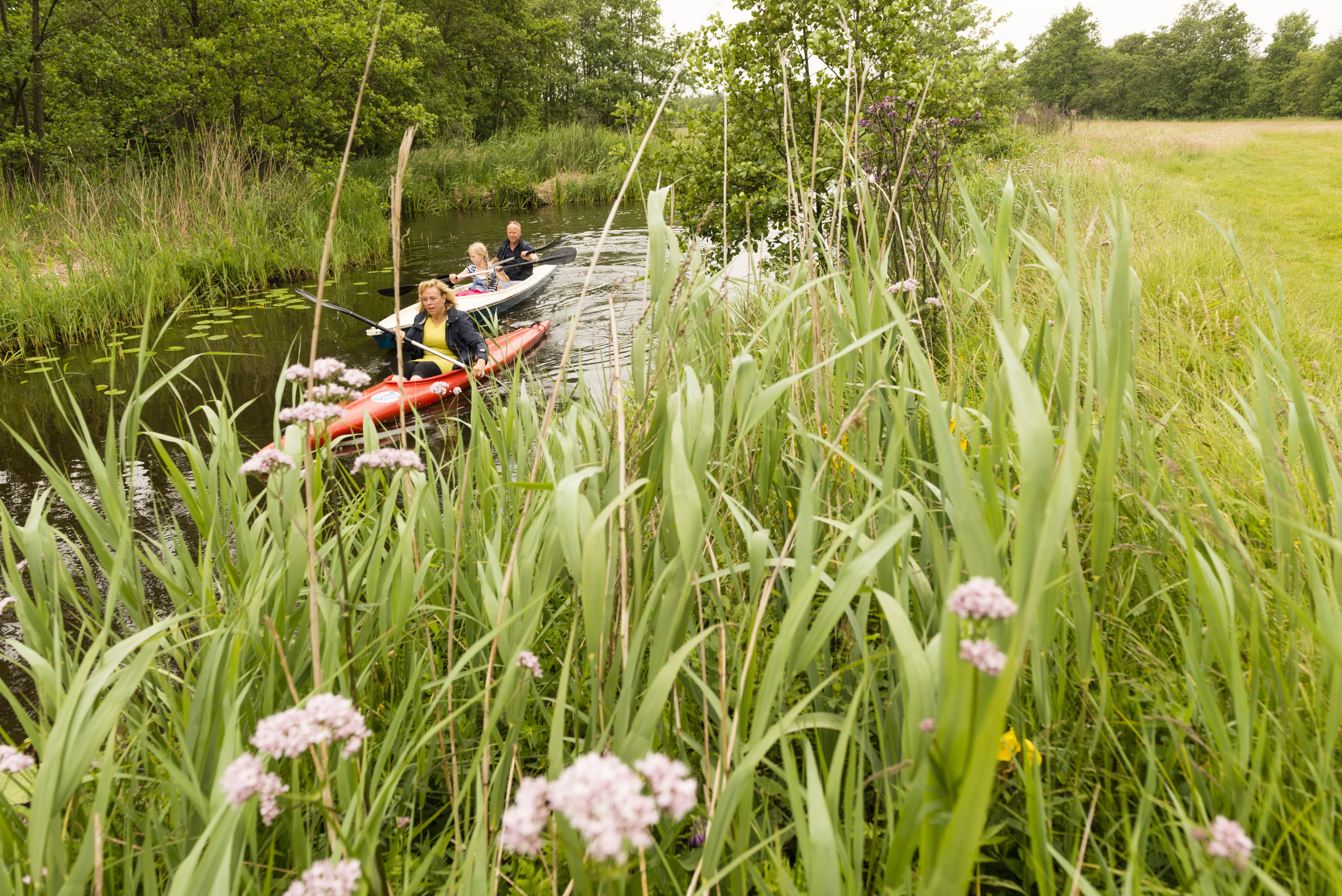 Loosdrechtse Plassen - Natuurgebied | Natuurmonumenten