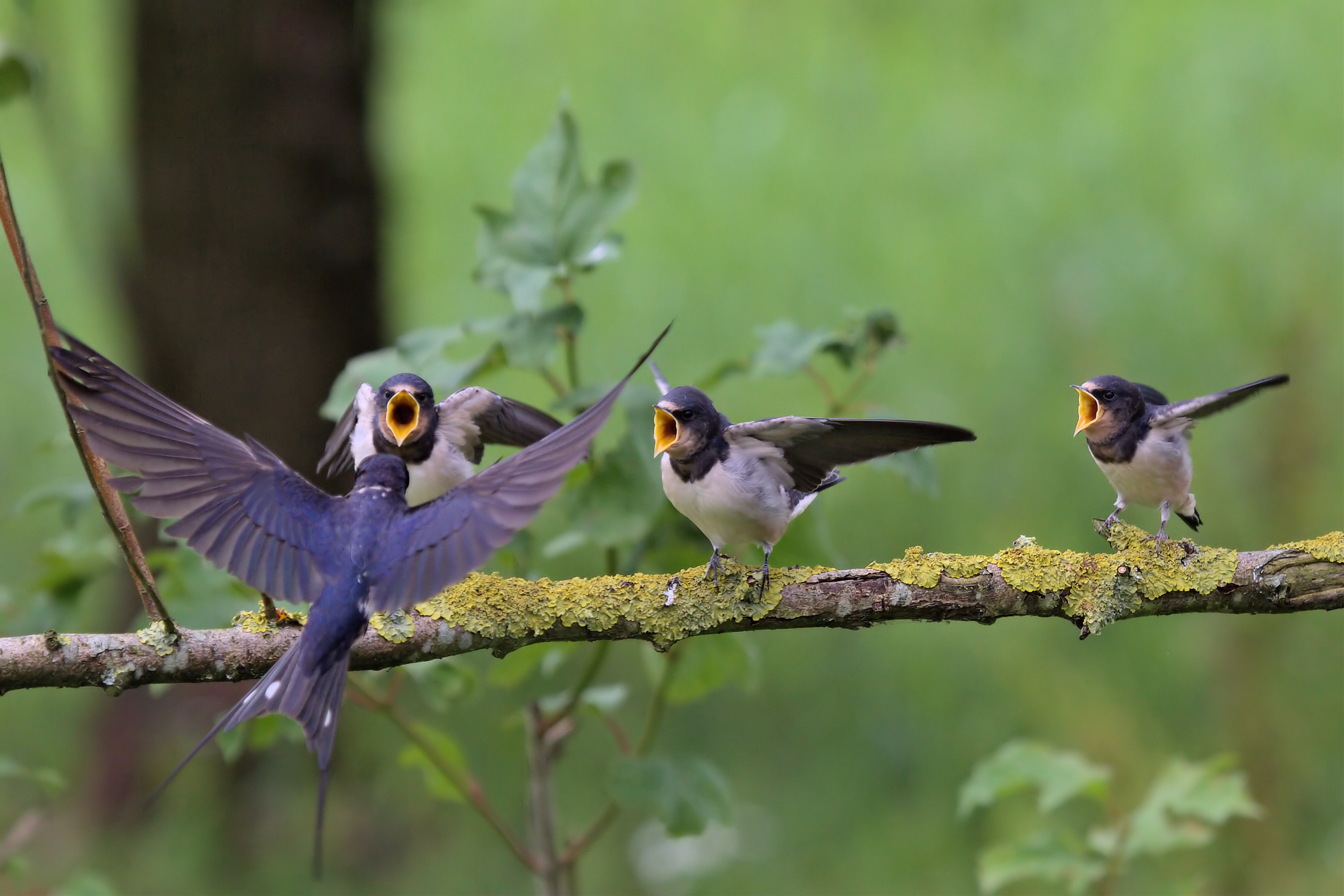 Nieuws en pers | Natuurmonumenten