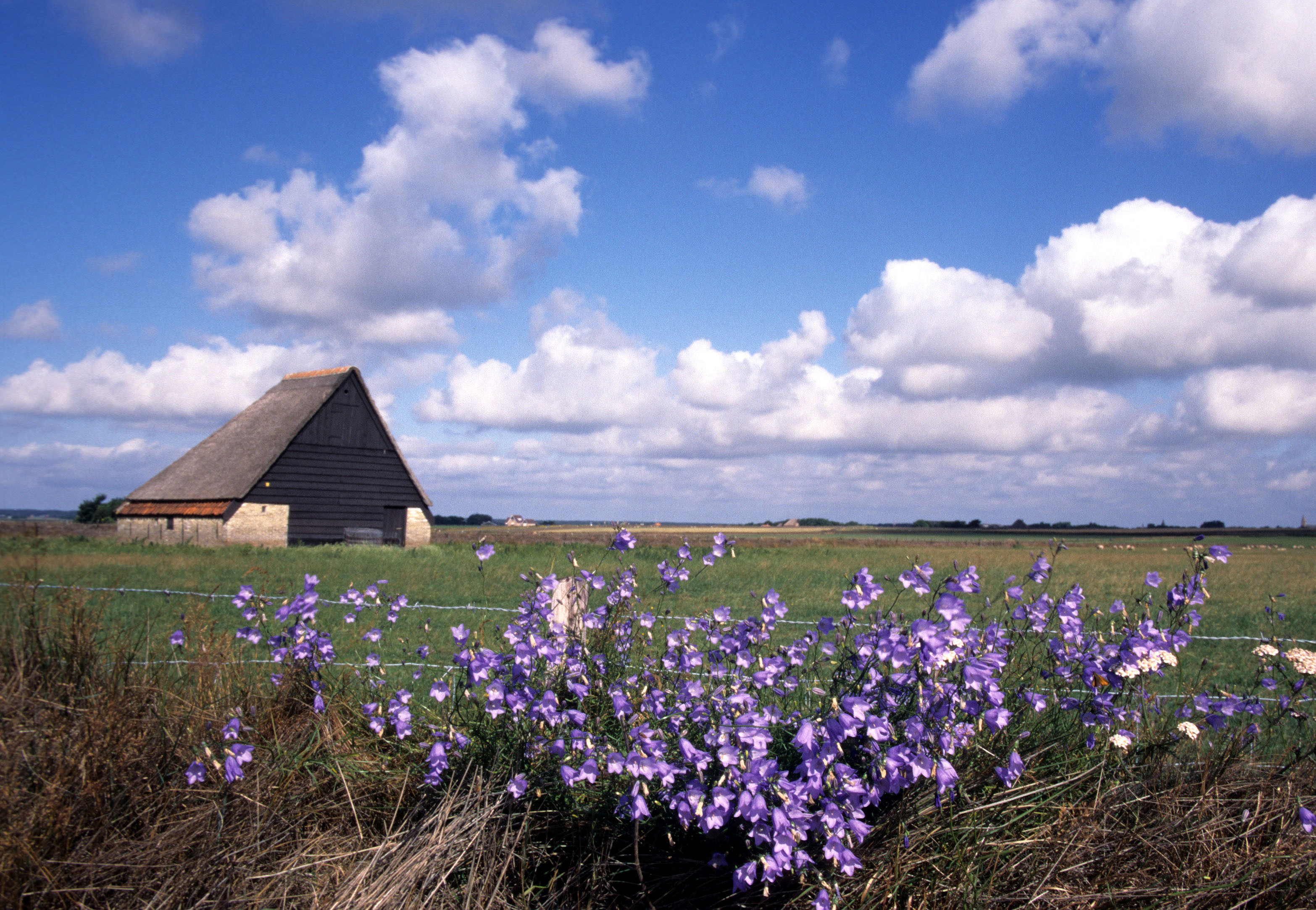 Hoge Berg - Natuurgebied | Natuurmonumenten