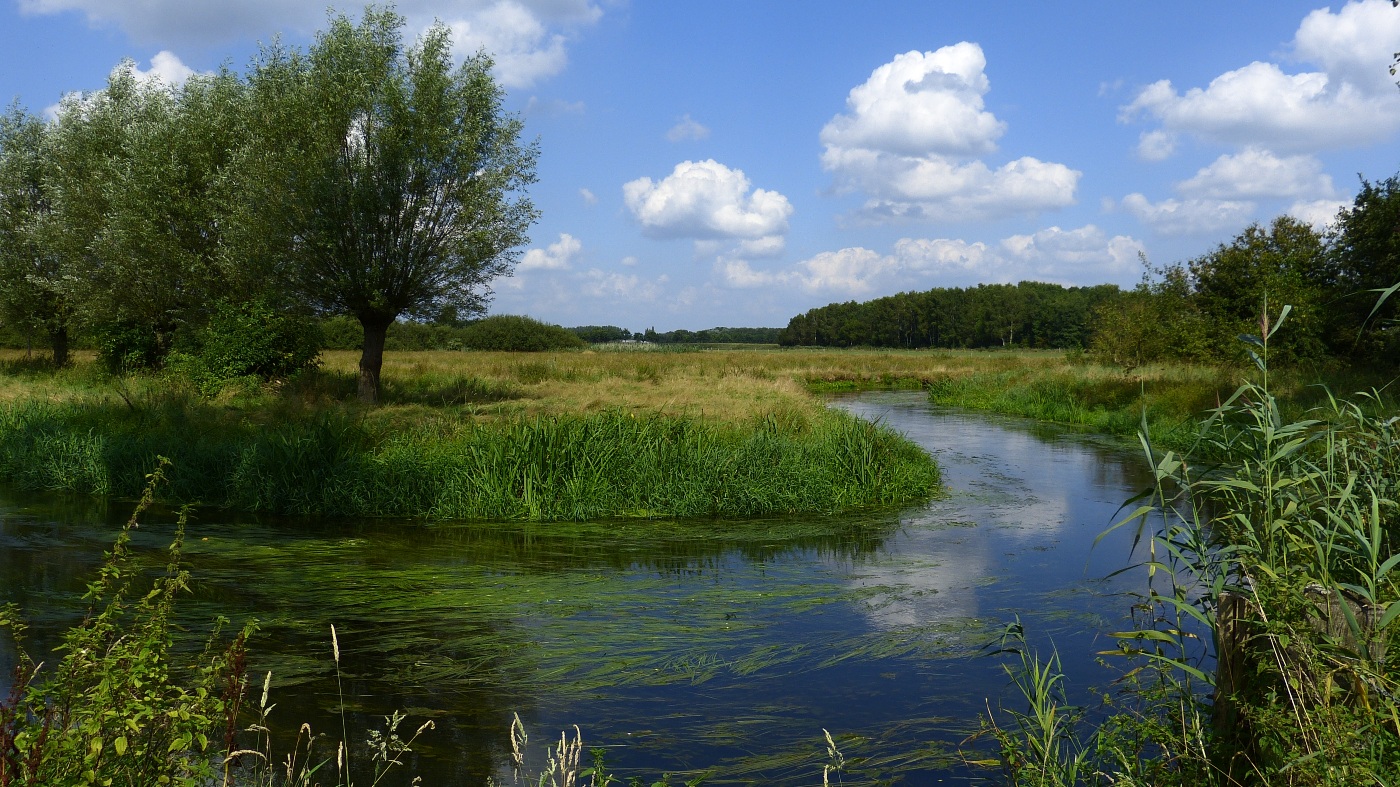 Over de Dommel | Natuurmonumenten
