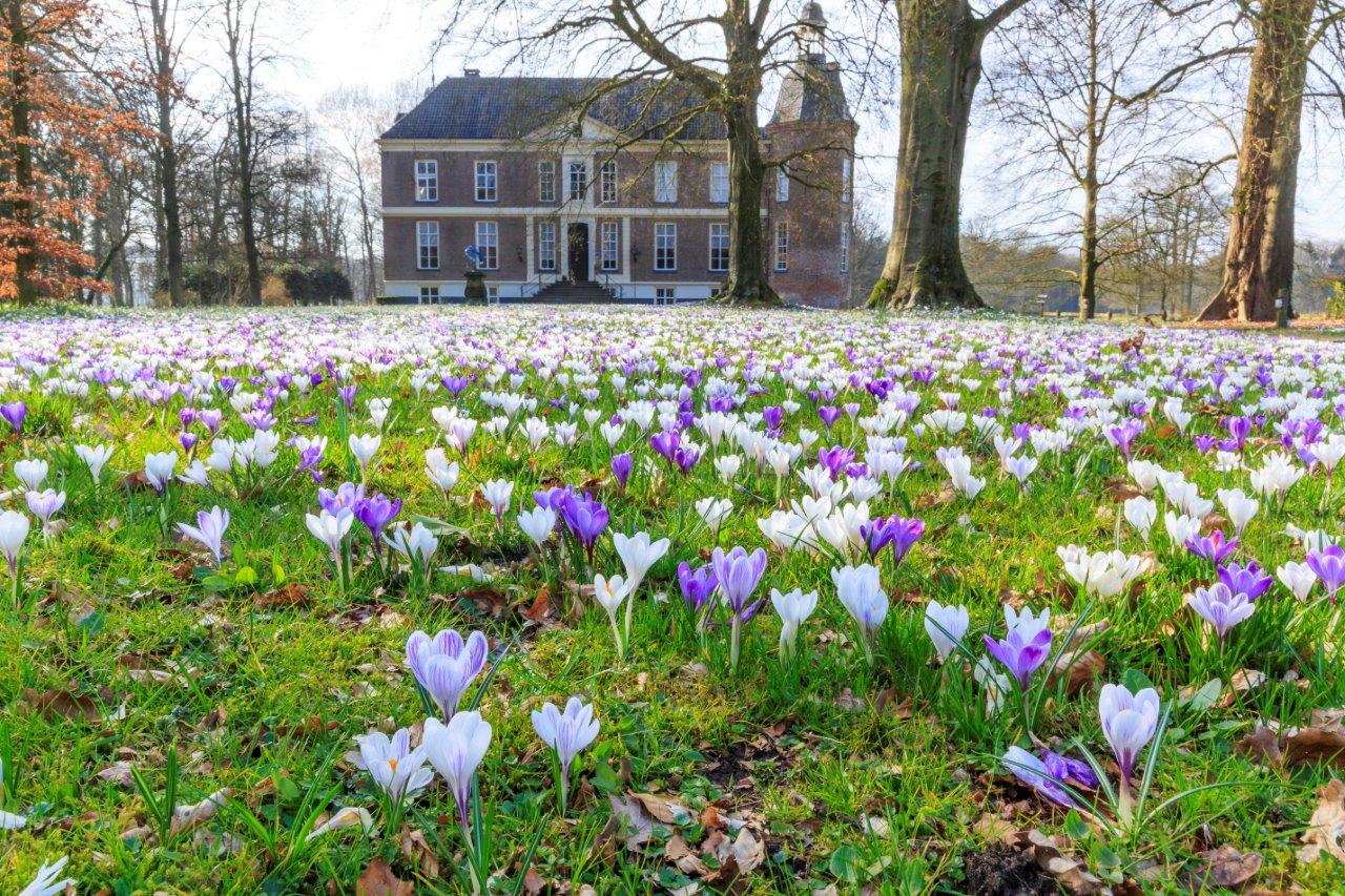 De natuur in | Natuurmonumenten