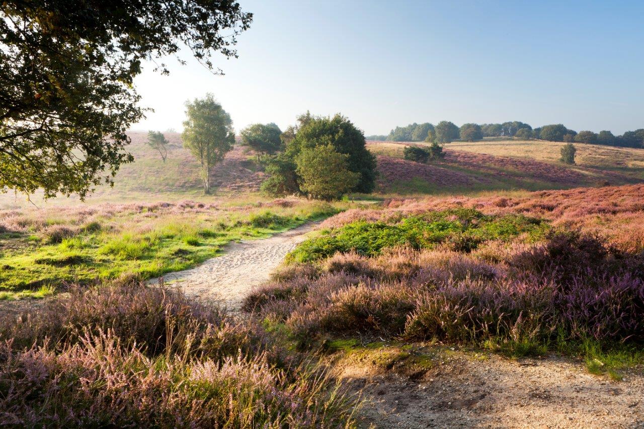 Natuurmonumenten heeft een nieuwe Natuurvisie voor het Rijk van ...