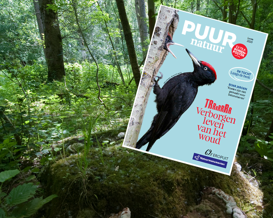 Puur Natuur | Natuurmonumenten