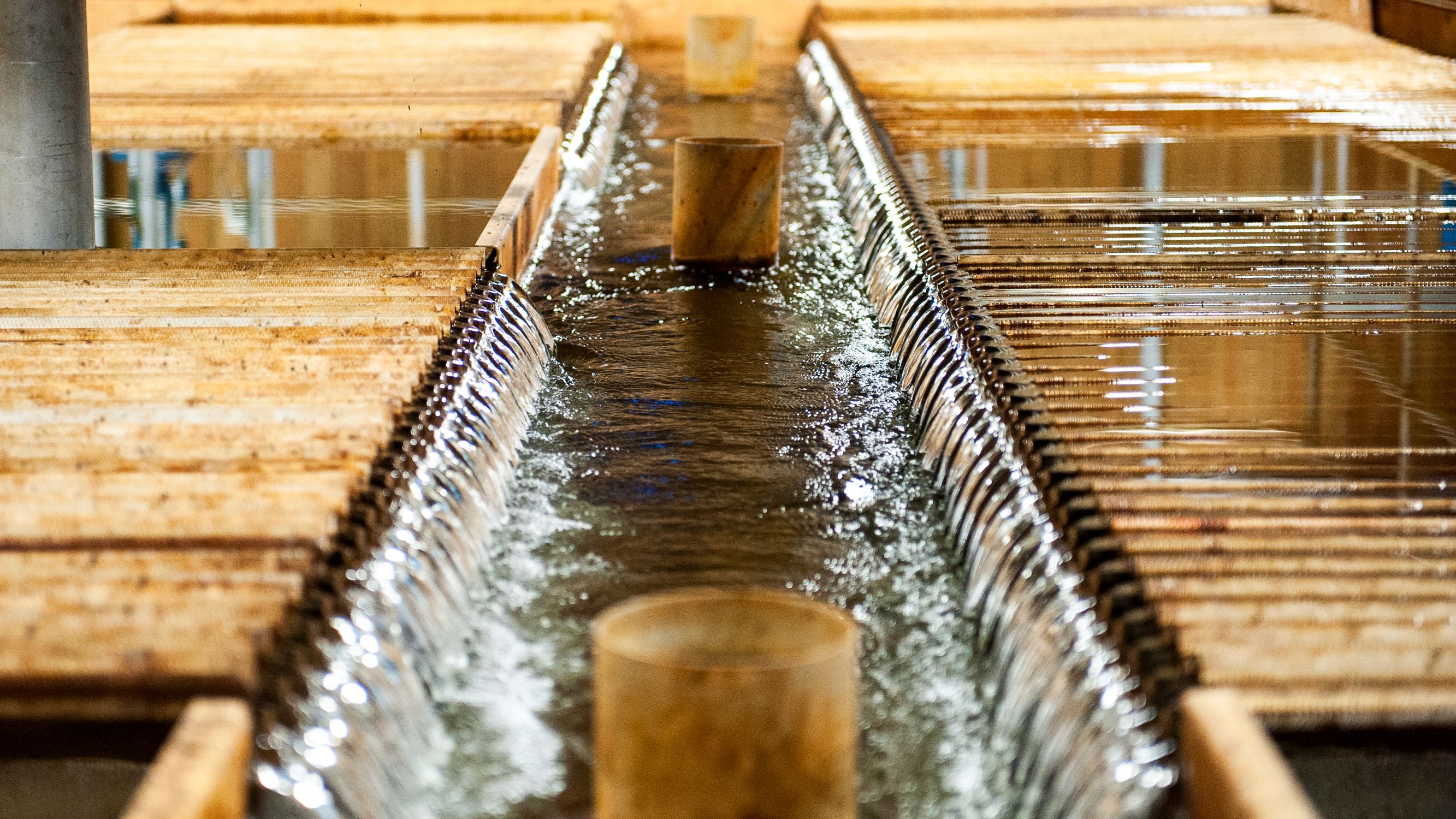 Waterzuivering Naardermeer vernieuwd | Natuurmonumenten