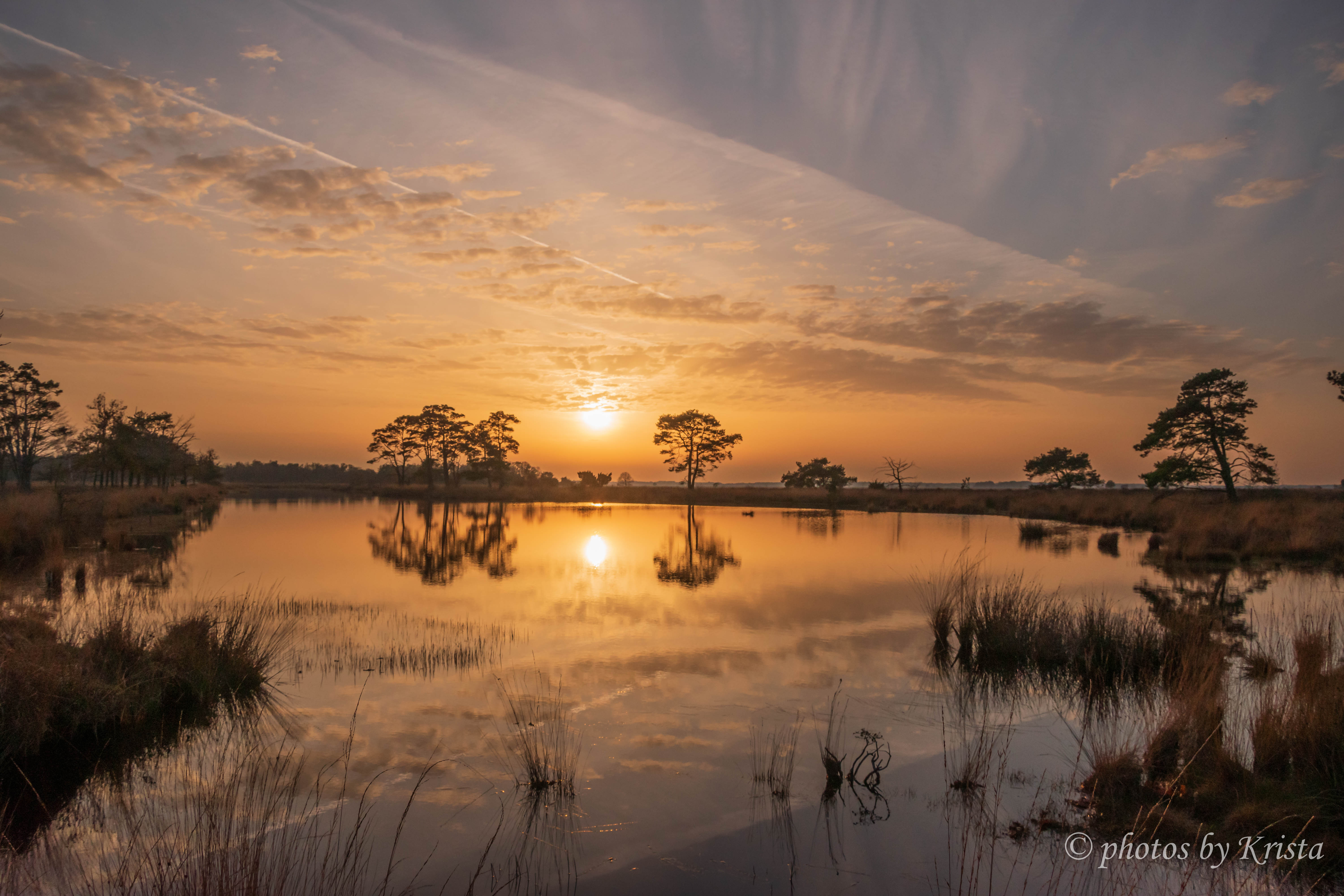 Wandelen in Drenthe | Natuurmonumenten