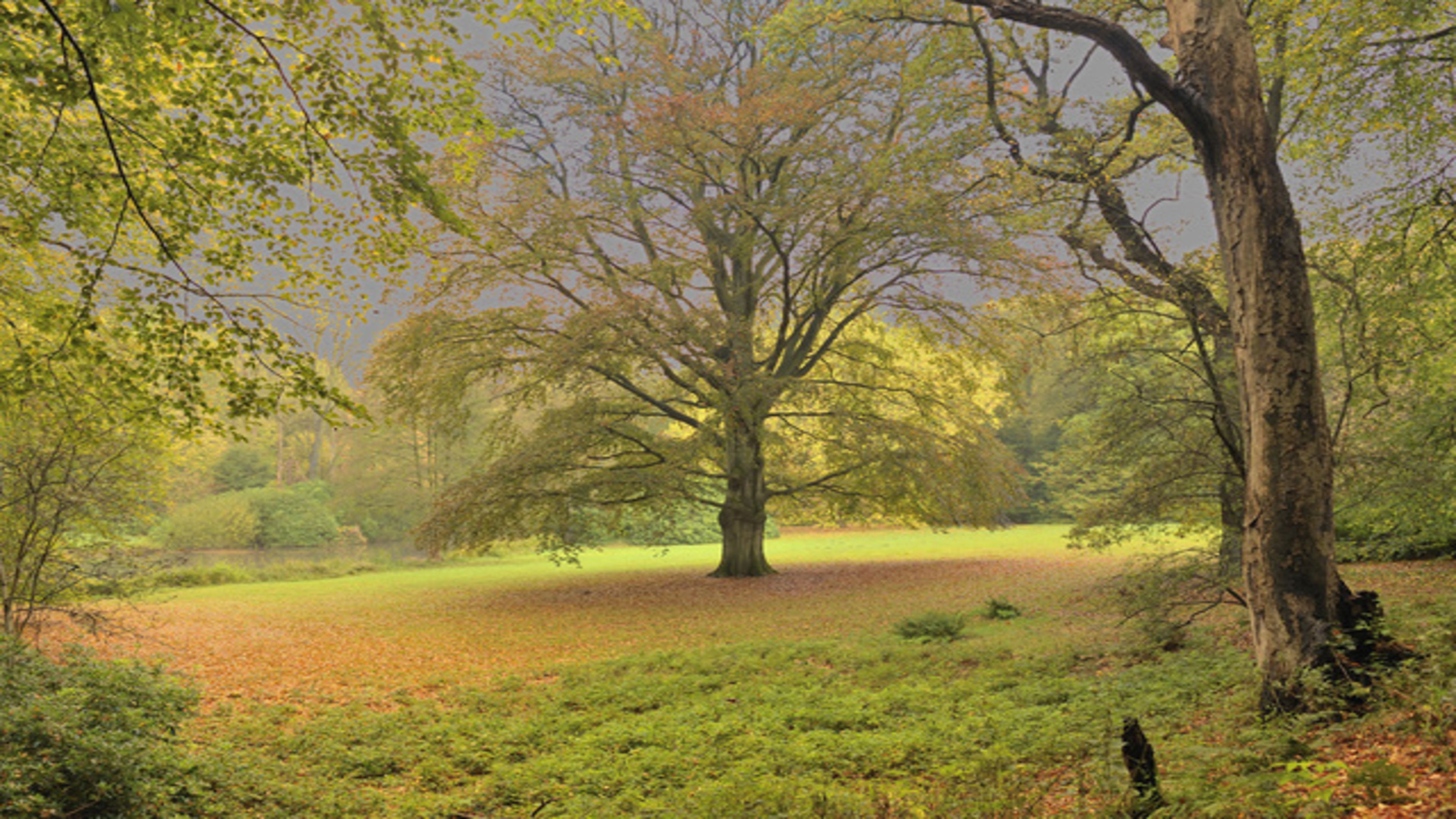 Geven in herinnering | Natuurmonumenten