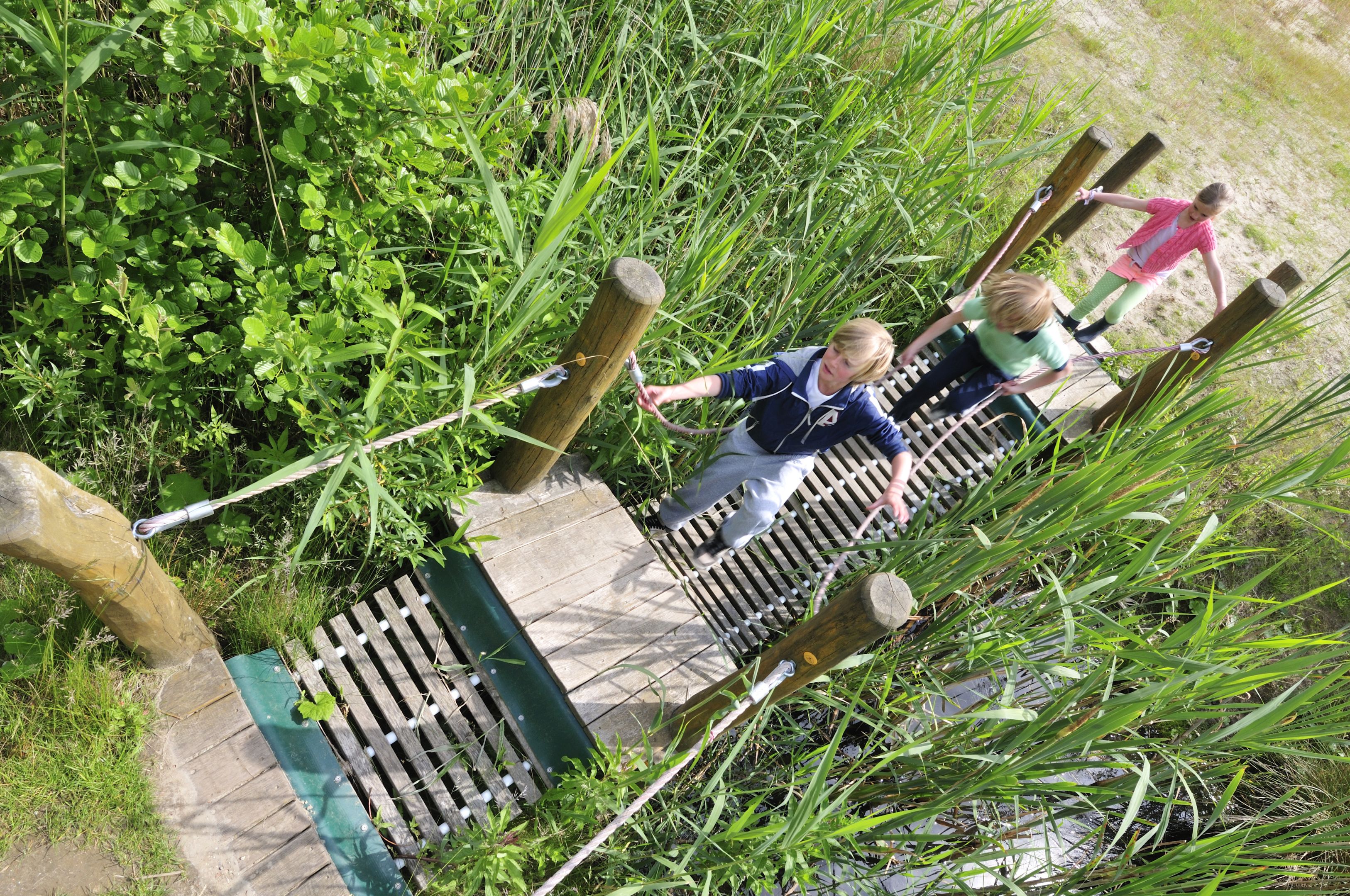 Nieuwe padenstructuur Harderbos | Natuurmonumenten