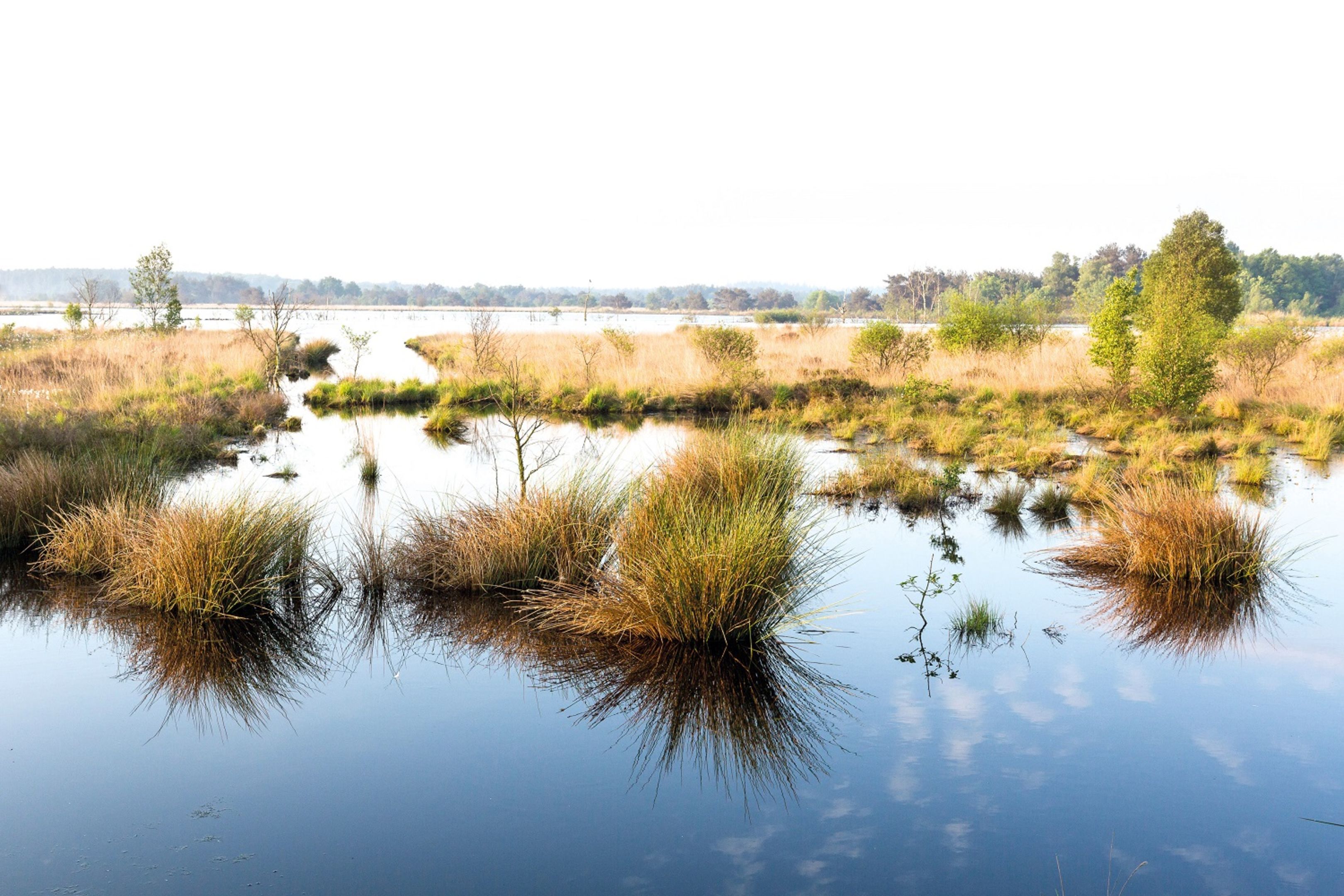 De natuur heeft je nodig! | Natuurmonumenten