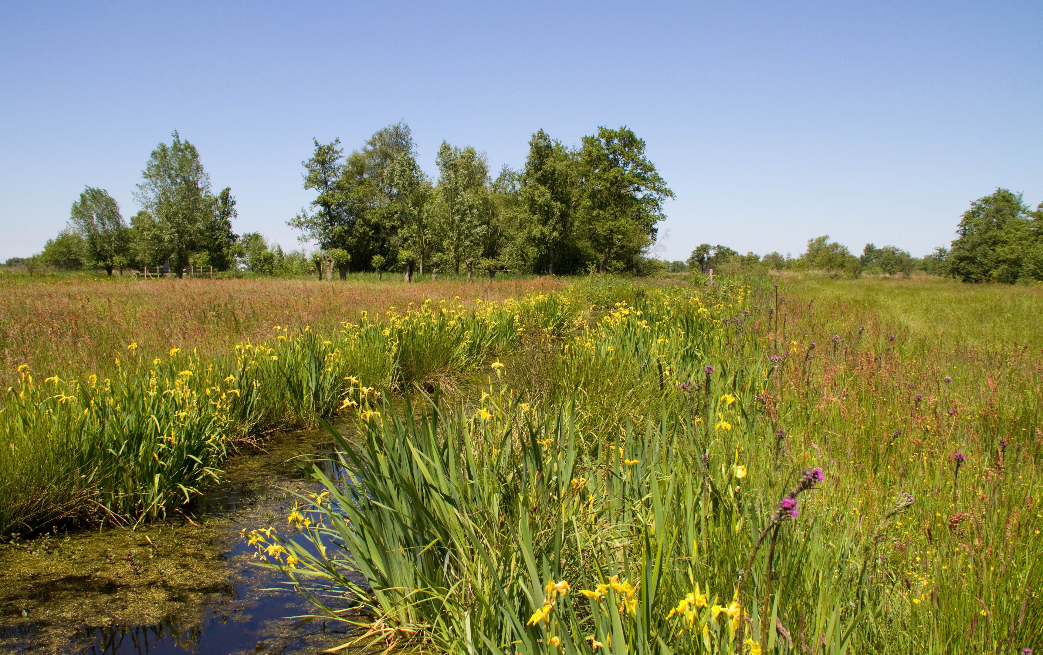 Natuurmonumenten vandaag naar Remkes | Natuurmonumenten