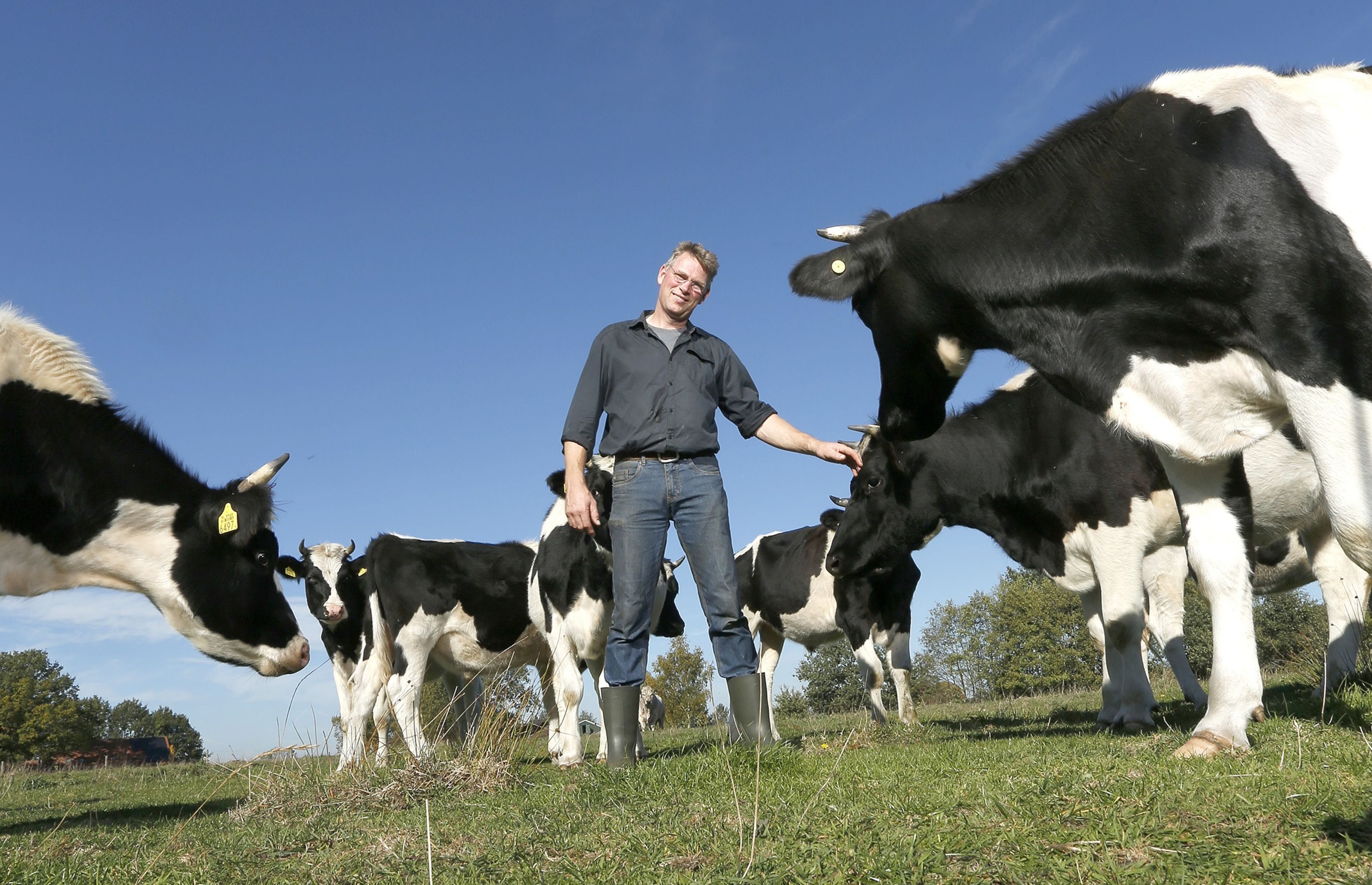 Boeren zonder stikstofuitstoot | Natuurmonumenten