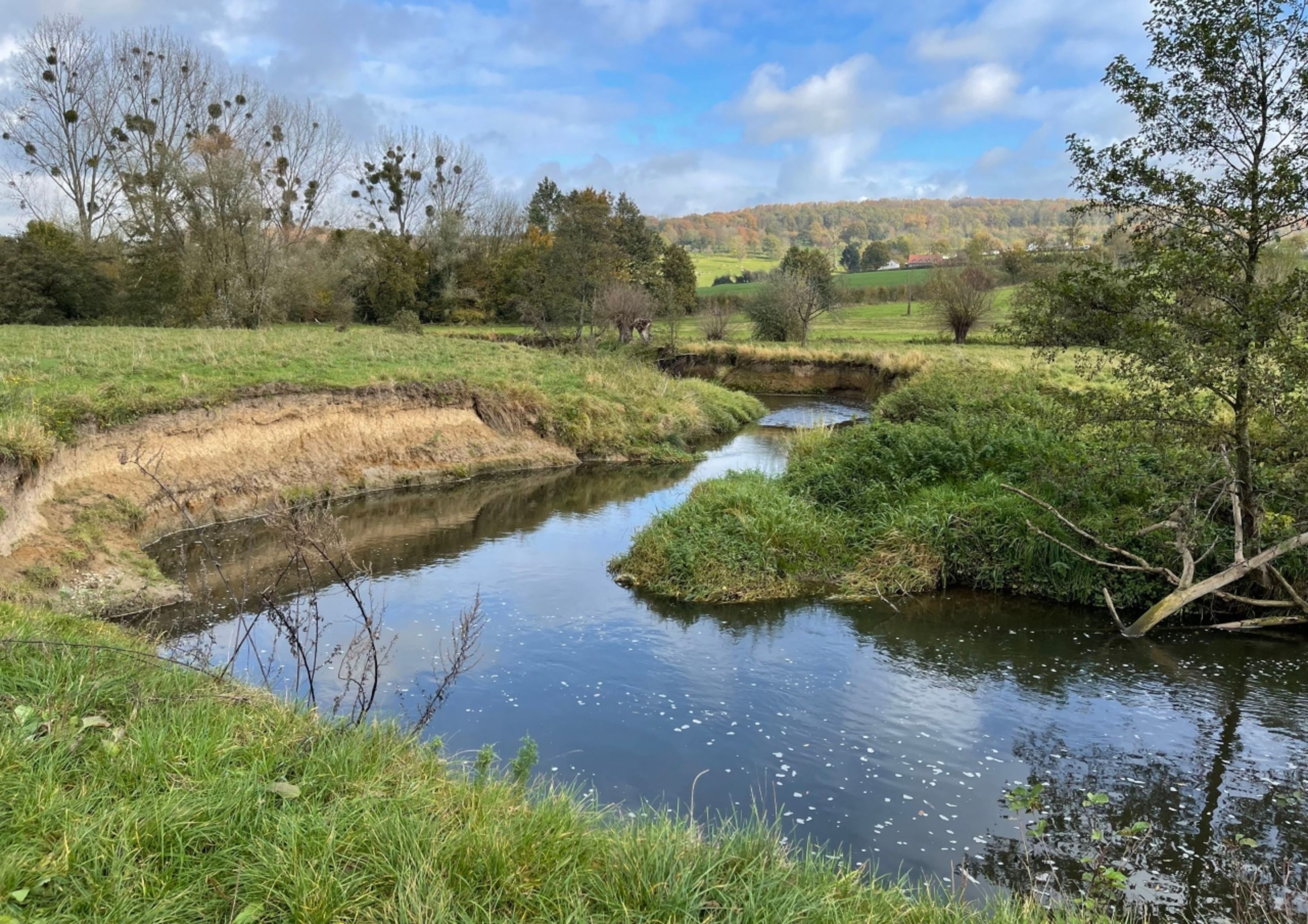 Nieuwe klimaatroute in het Geuldal | Natuurmonumenten