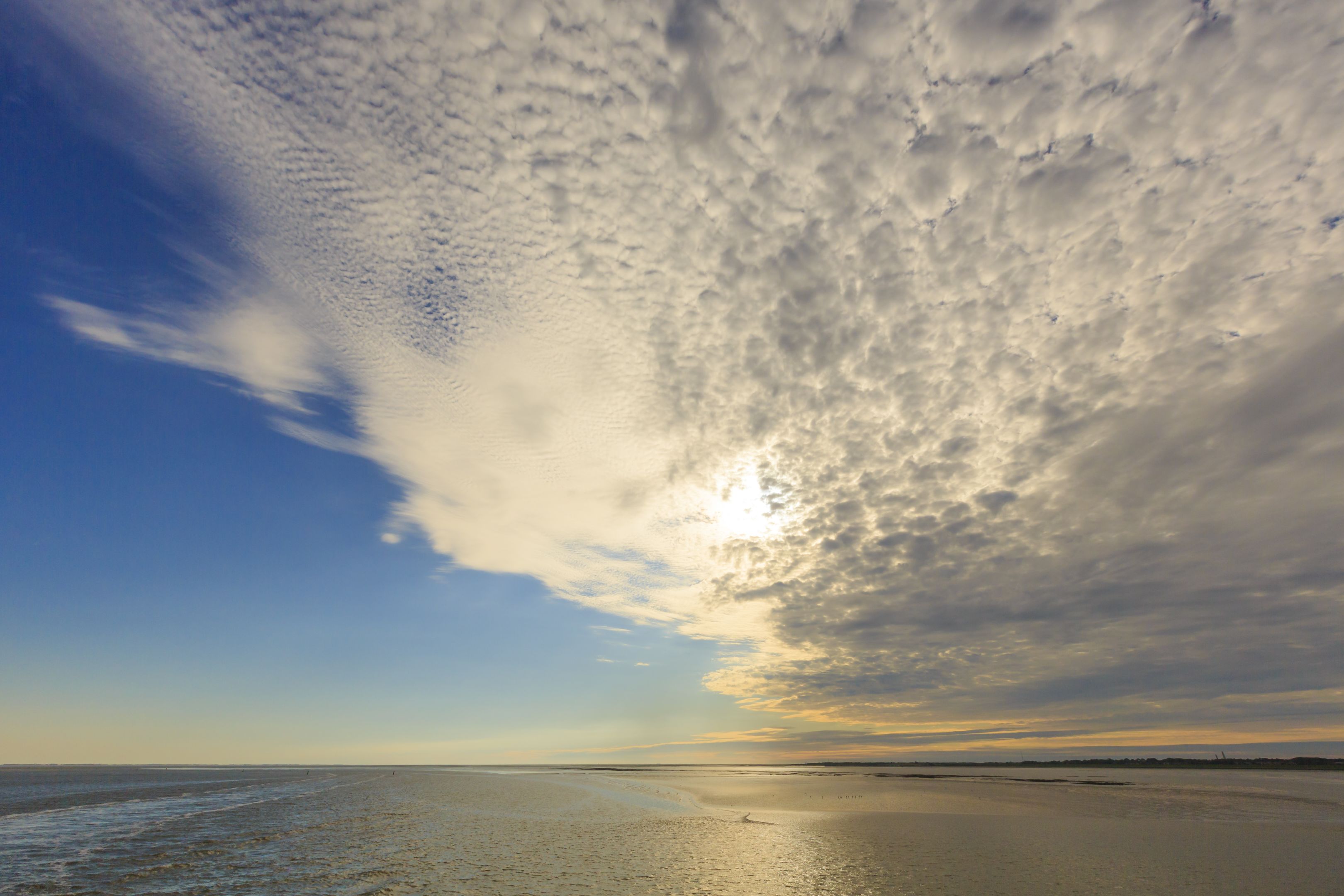 De November Wandelmaand route | Natuurmonumenten