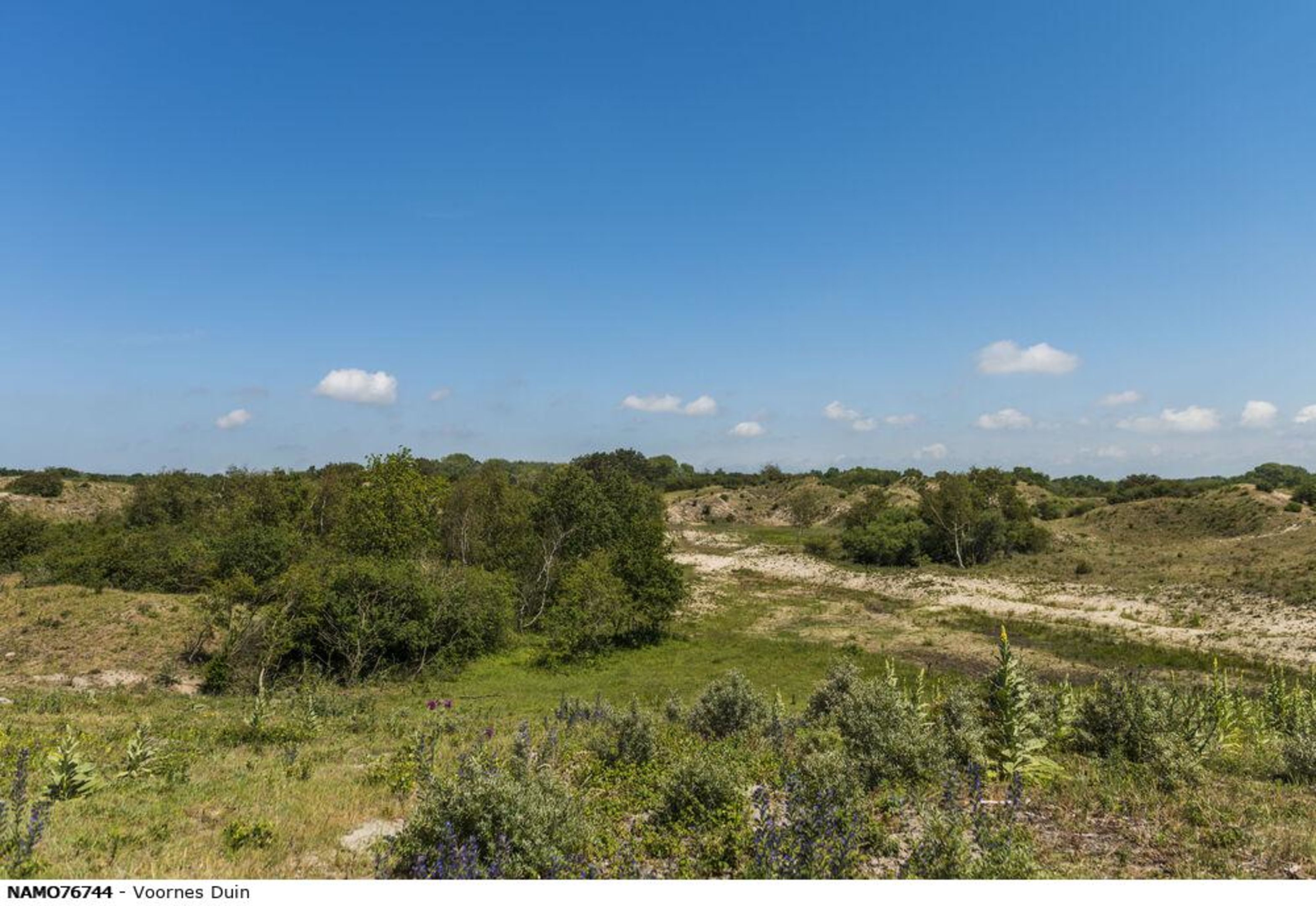 Herstelwerkzaamheden duinen Oostvoorne | Natuurmonumenten