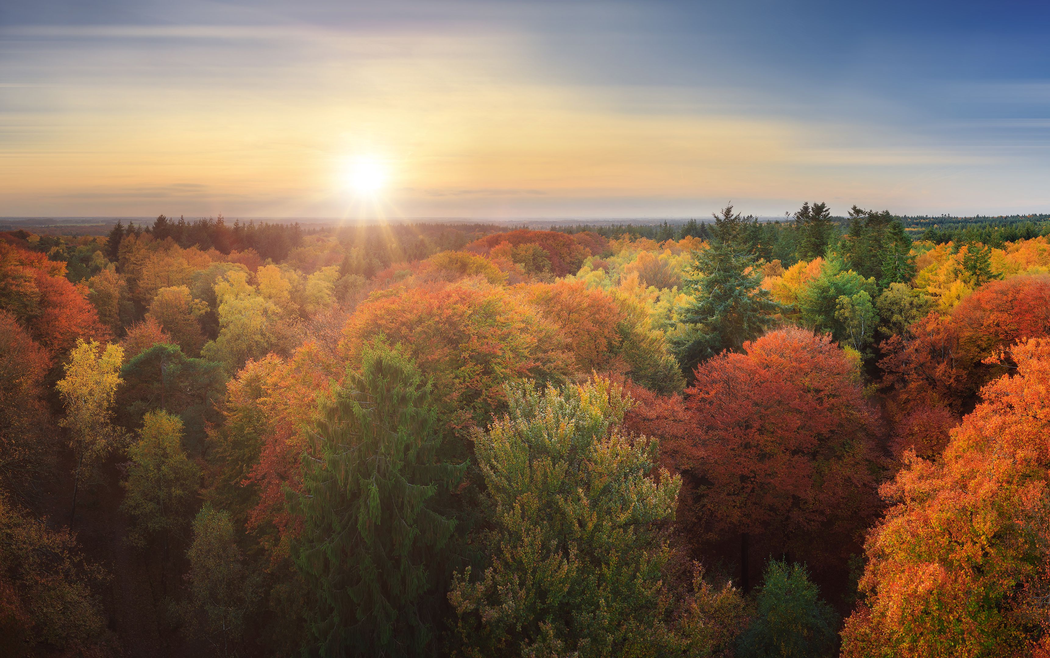 Kaapse Bossen - Natuurgebied | Natuurmonumenten