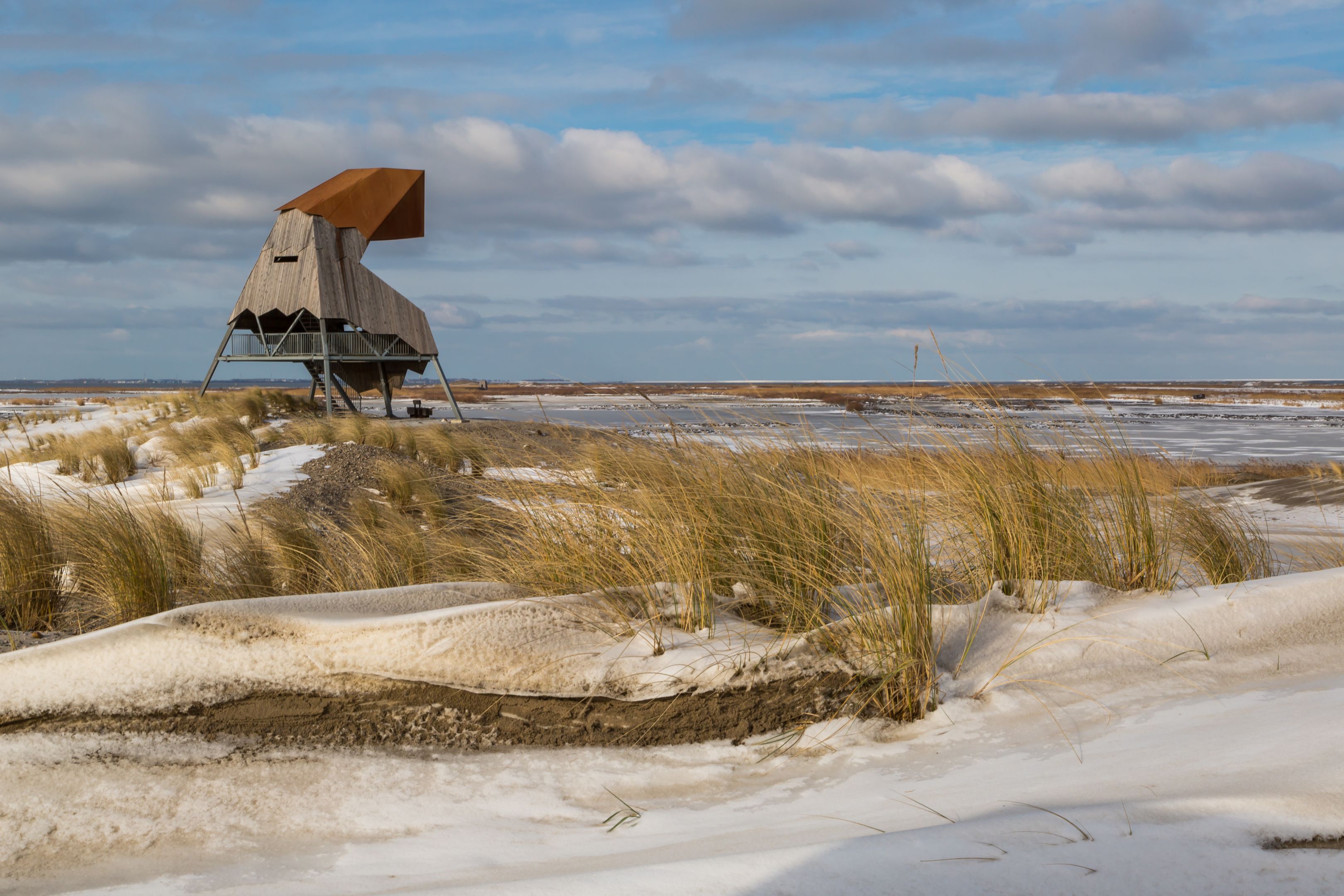Unieke winterexcursies op Marker Wadden | Natuurmonumenten