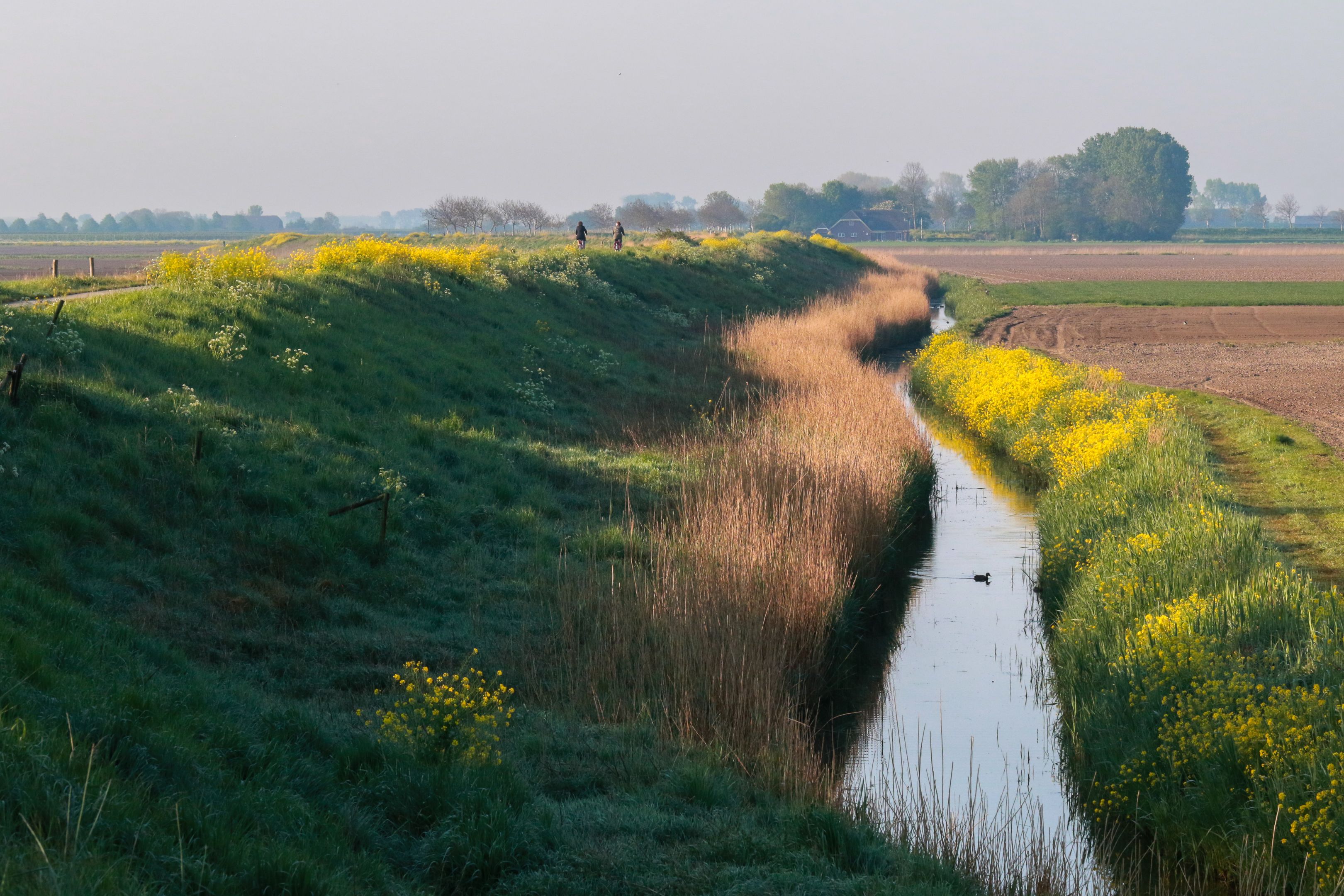 Natuurontwikkeling en verblijf- en dagrecreatie in Leenherenpolder ...