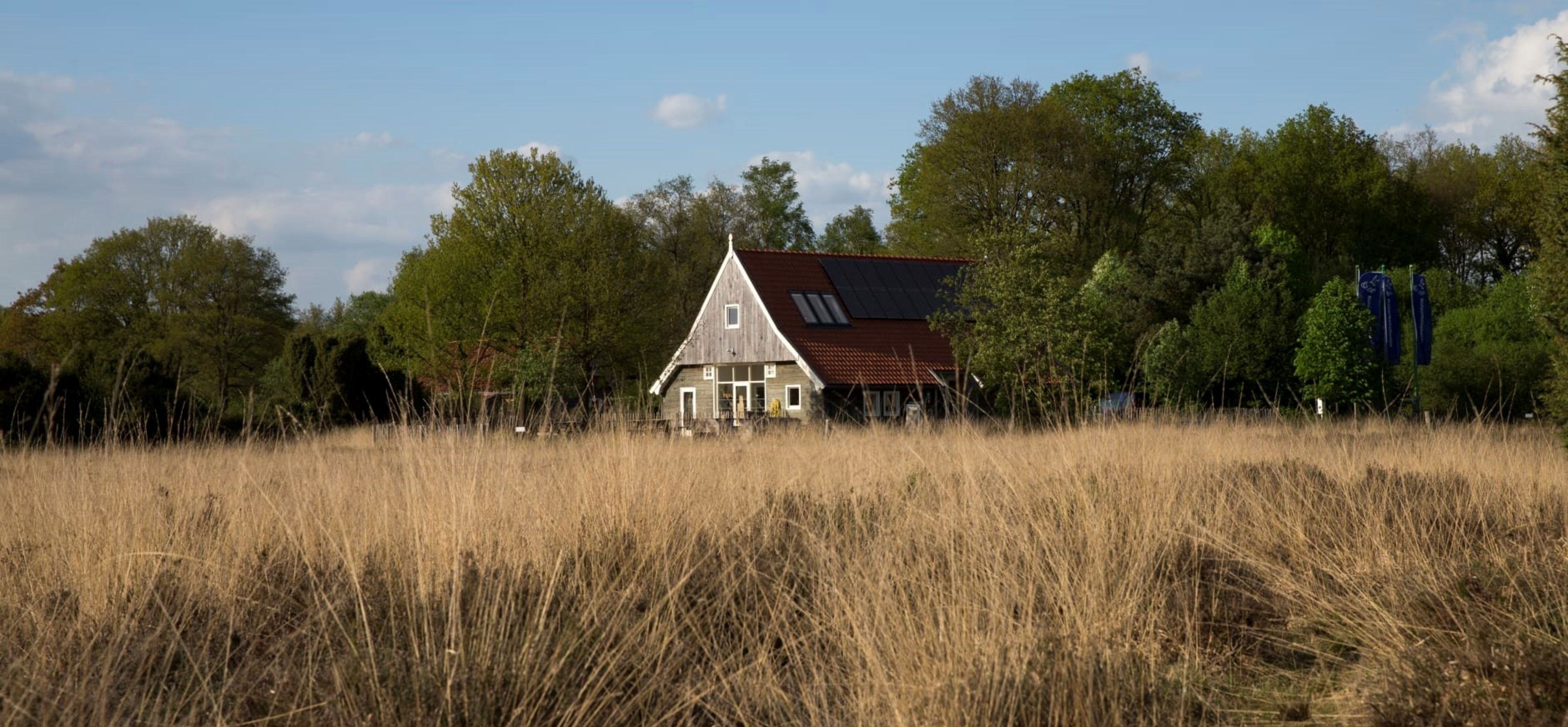 Fotoshoot Buurserzand | Natuurmonumenten