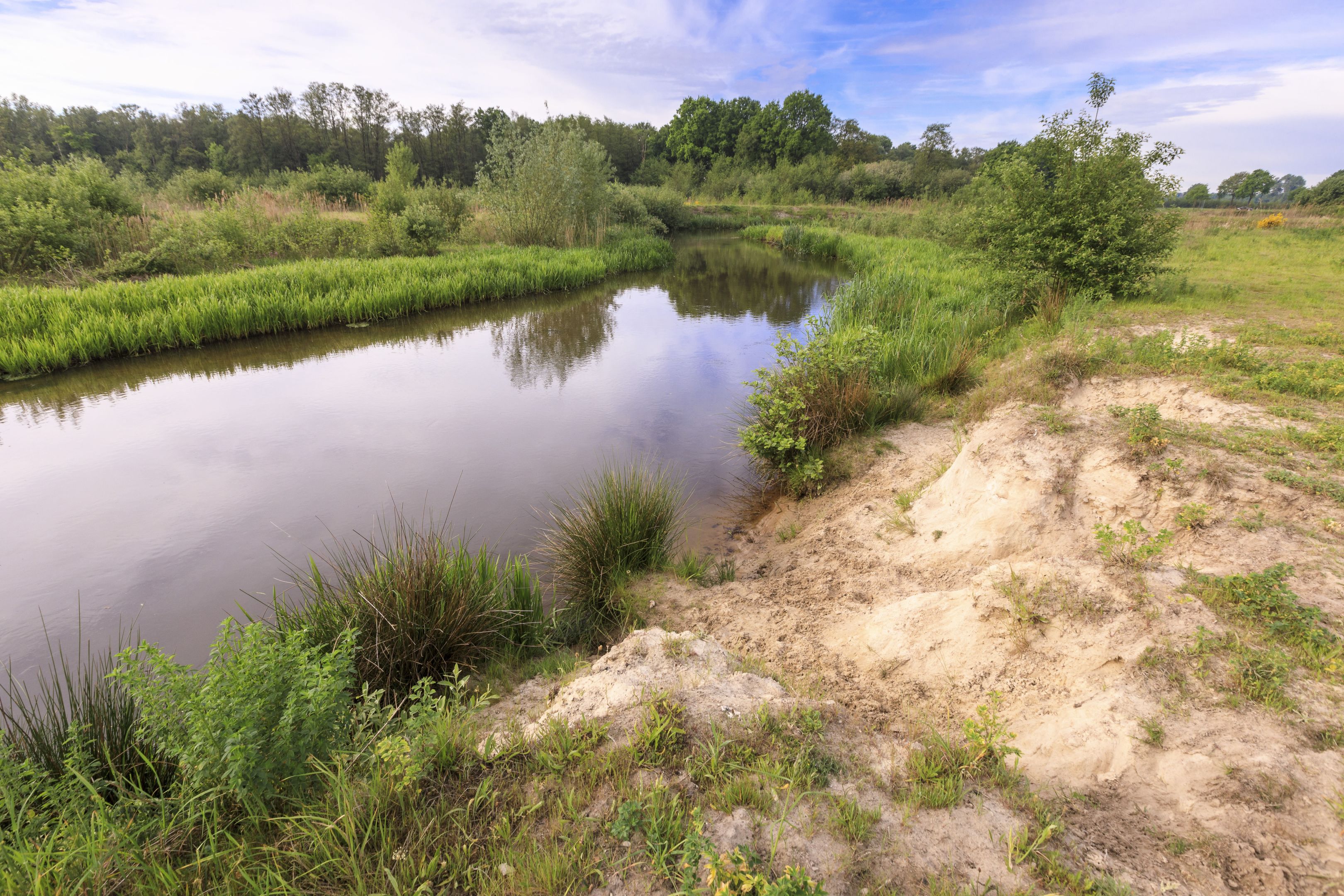 Water en bodem sturend voor gezonde natuur | Natuurmonumenten