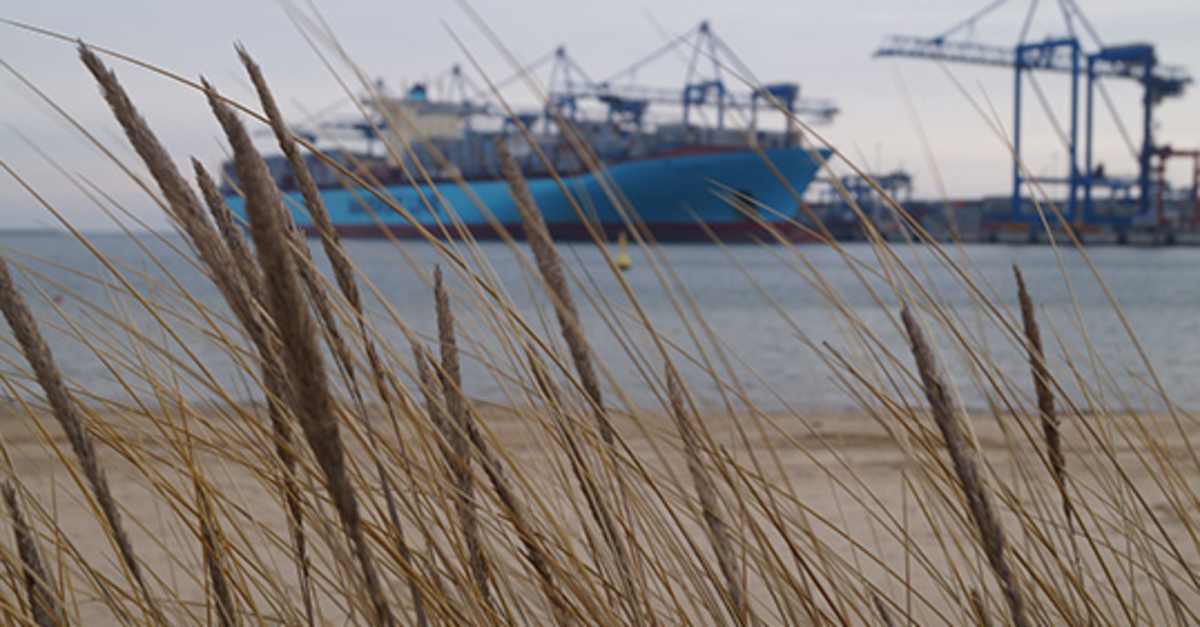 Denmark union pushes ahead with Maersk shore leave case