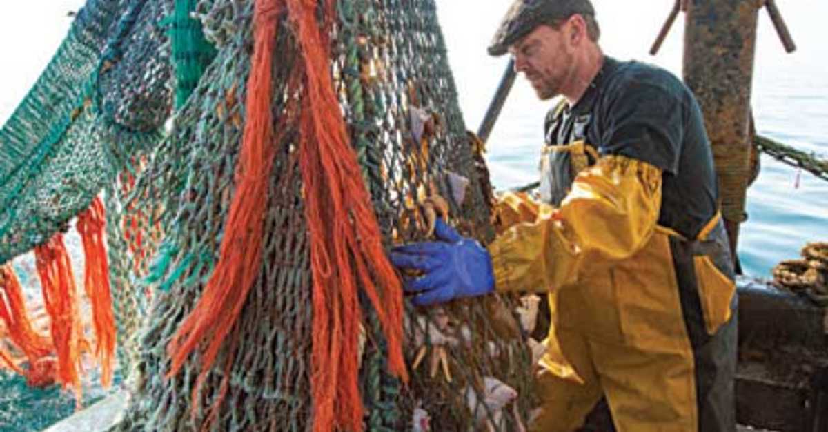 Nautilus and maritime charities collaborate on new UK fishing guide to ...