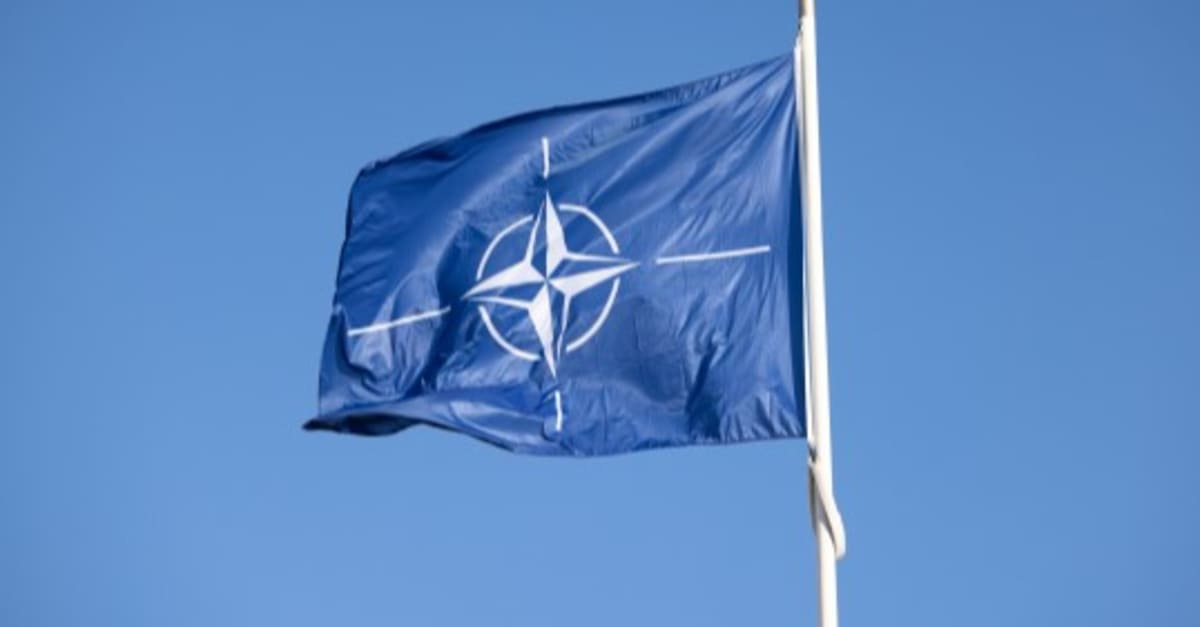 US Federal Maritime Commission launches investigation into flags of ...