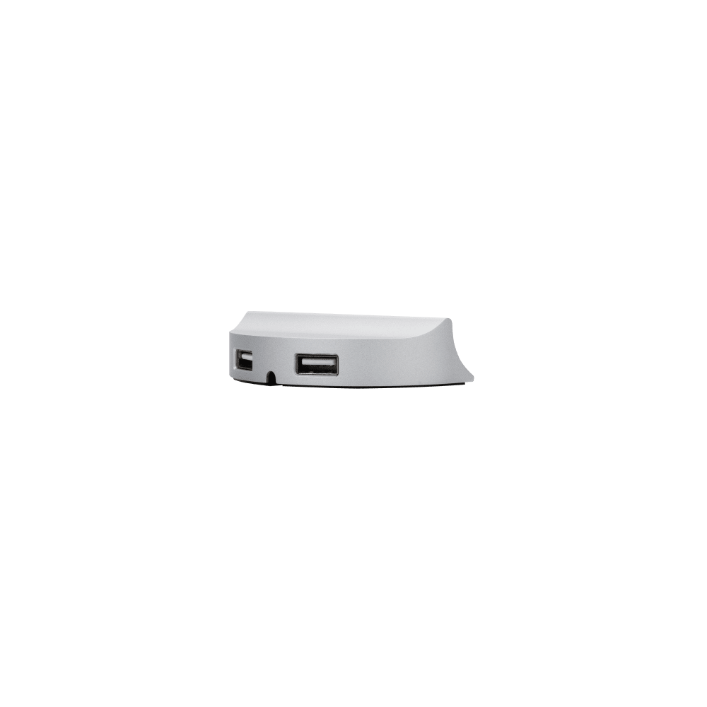 iPort LUXE USB charge module i sølv - While Supplies Last NCMS