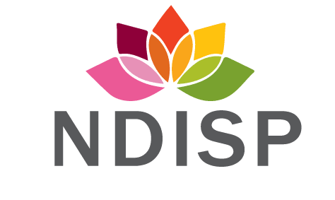 NDIS Review "What We Have Heard" Report - Ecosystem of Support