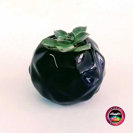 Suculenta matera cerámica diamante mini • Neea Flora - Recordatorios y ...