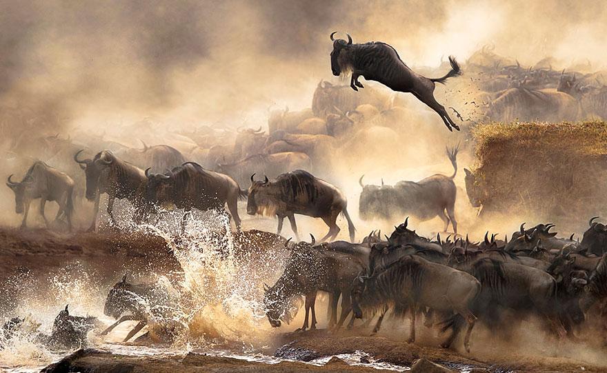 26 Amazing Sony World Photography Awards 2014 Winning Pictures