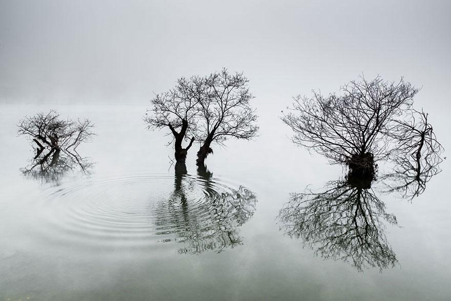 26 Amazing Sony World Photography Awards 2014 Winning Pictures