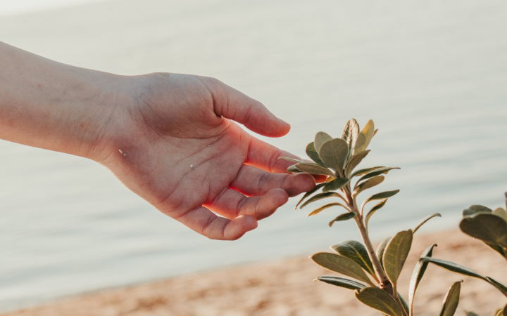 Delta Insurance | Products | Environmental Liability Insurance ...