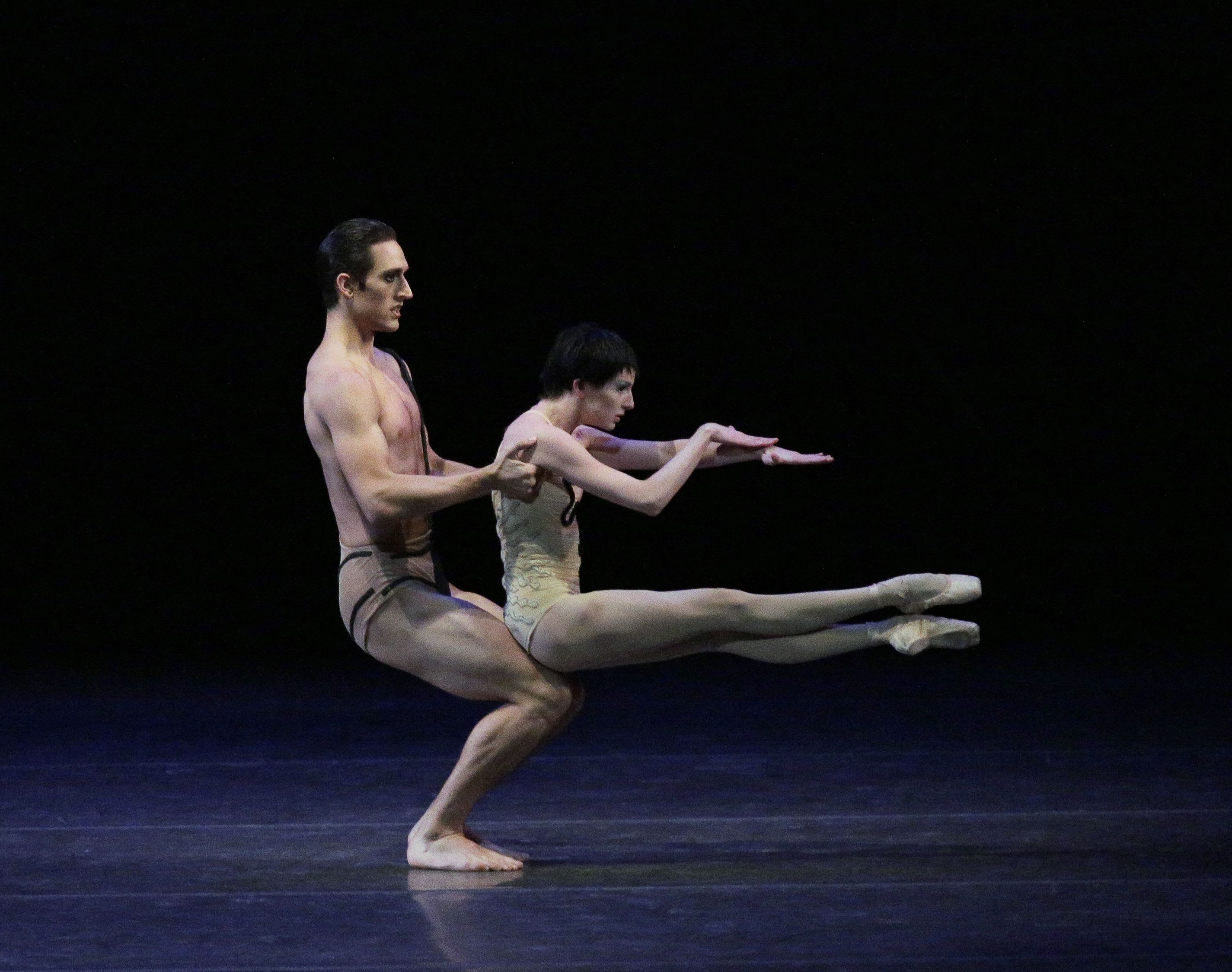 The Cage | New York City Ballet
