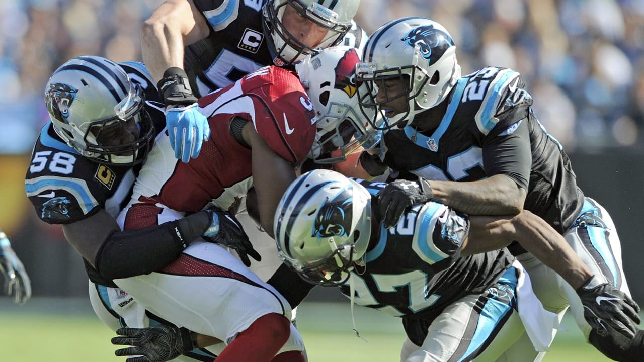 Photos: Panthers vs. Cardinals