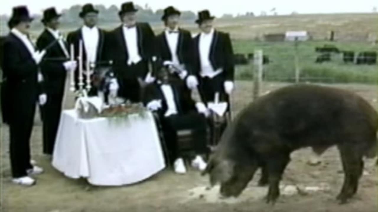 The Making Of The 'Hogs Night Out' Poster Is Everything