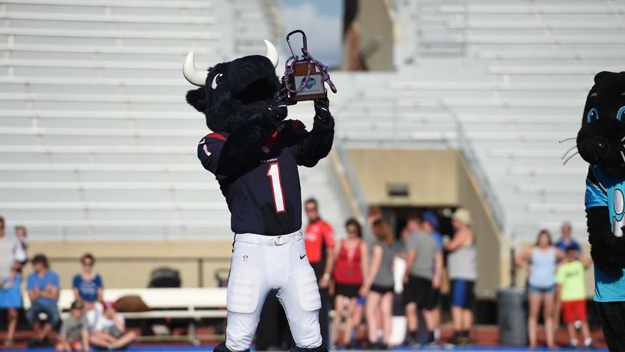TORO wins award at Mascot Summit