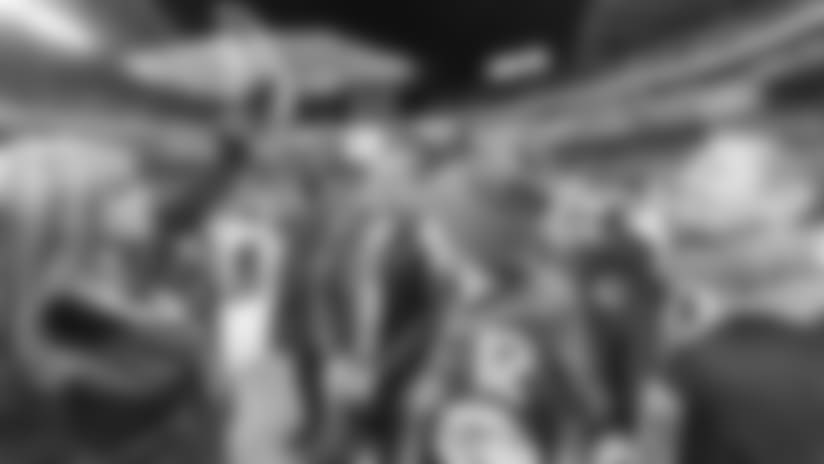 Seahawks Live Mascot Taima | Seattle Seahawks – Seahawks.com