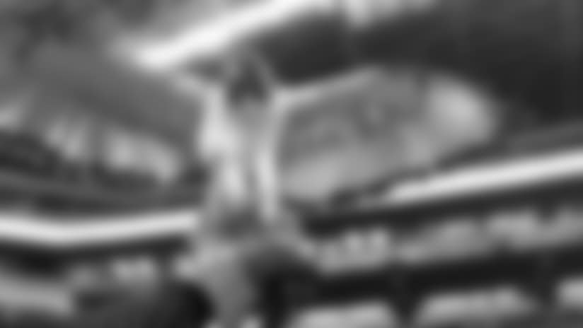 Seahawks Live Mascot Taima | Seattle Seahawks – Seahawks.com