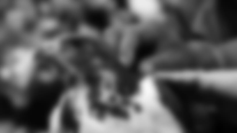 Seahawks Live Mascot Taima | Seattle Seahawks – Seahawks.com