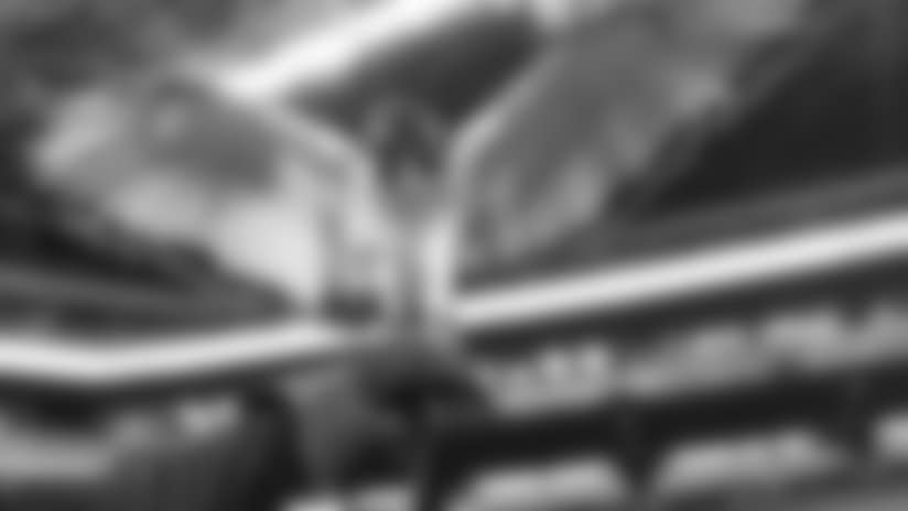 Seahawks Live Mascot Taima | Seattle Seahawks – Seahawks.com