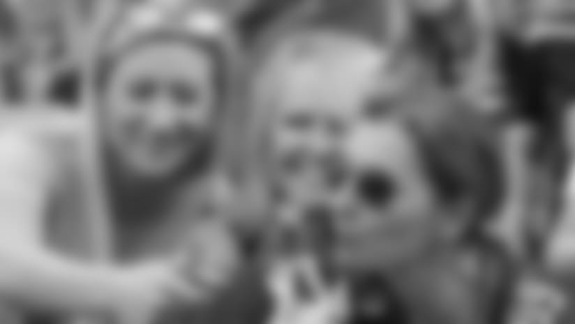 Seahawks Live Mascot Taima | Seattle Seahawks – Seahawks.com