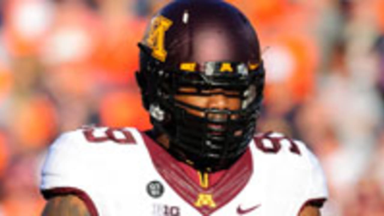 Minnesota 2013 season preview