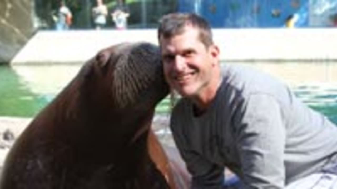 Jim Harbaugh meets Siku the walrus