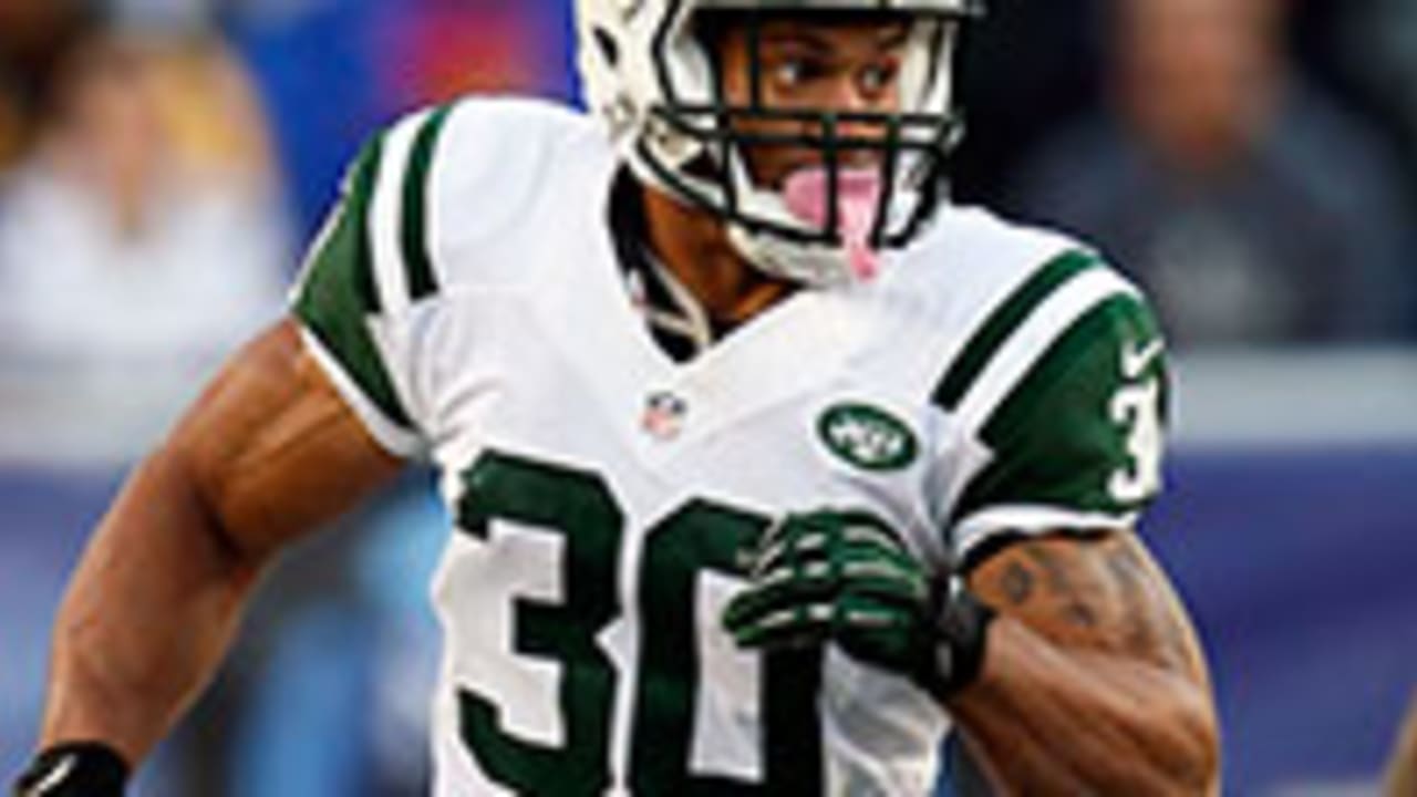 LaRon Landry swears New York Jets can be in playoffs
