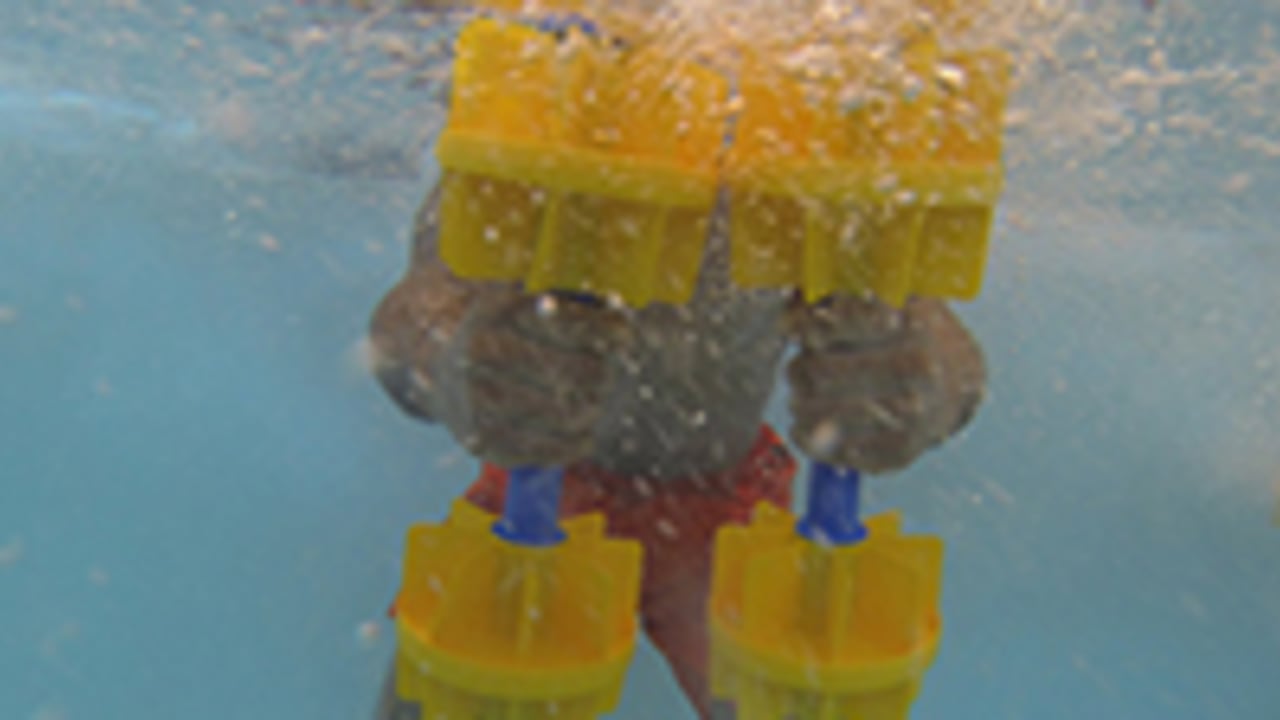 Pool recovery: Water exercises for maximum growth