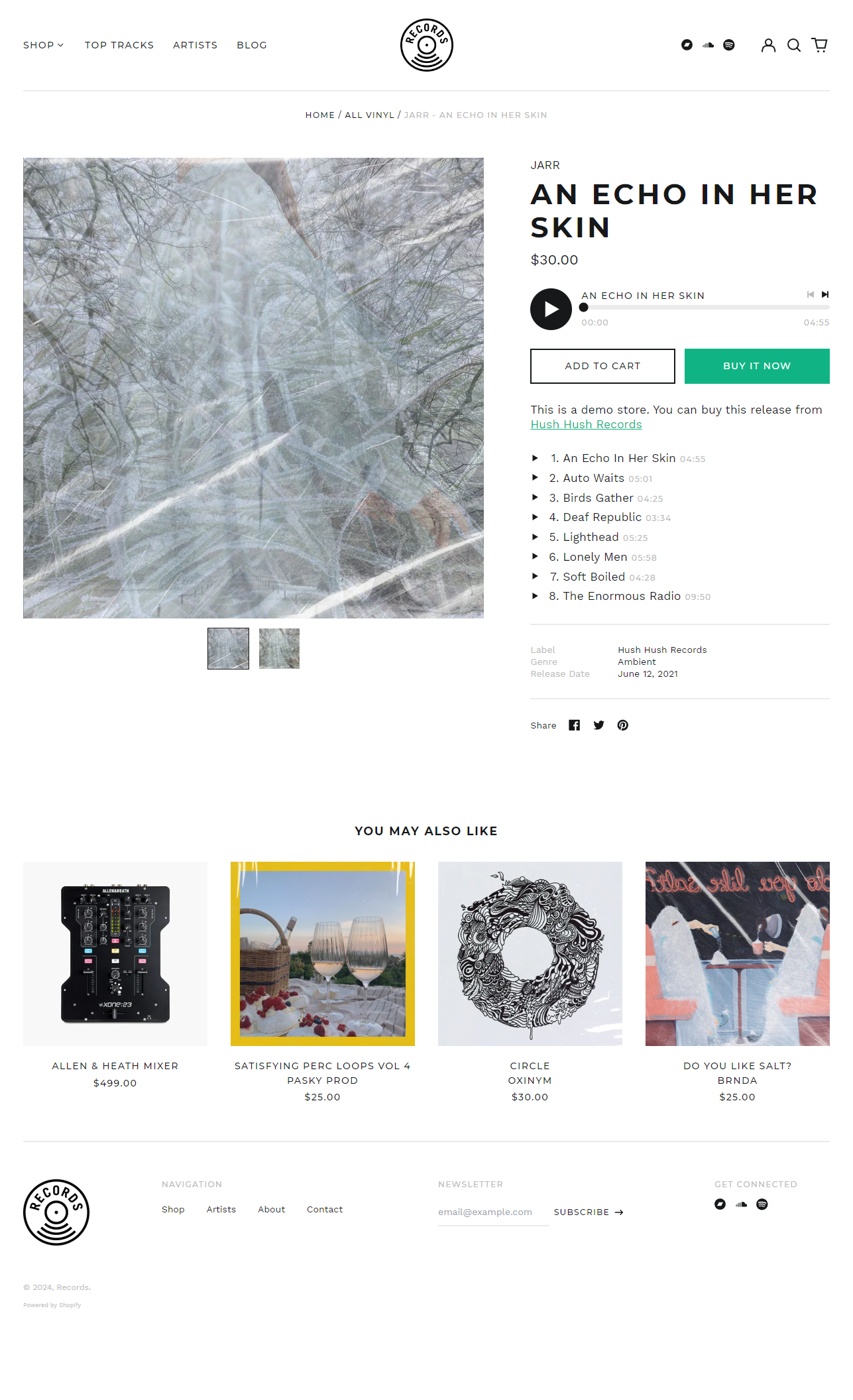 Switch Themes - Nic Chan