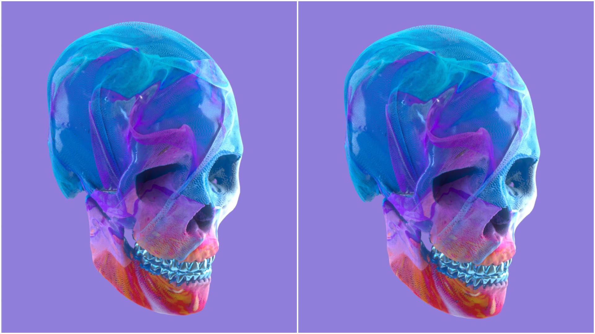 Skulls by Jon Noorlander Collectors Edition