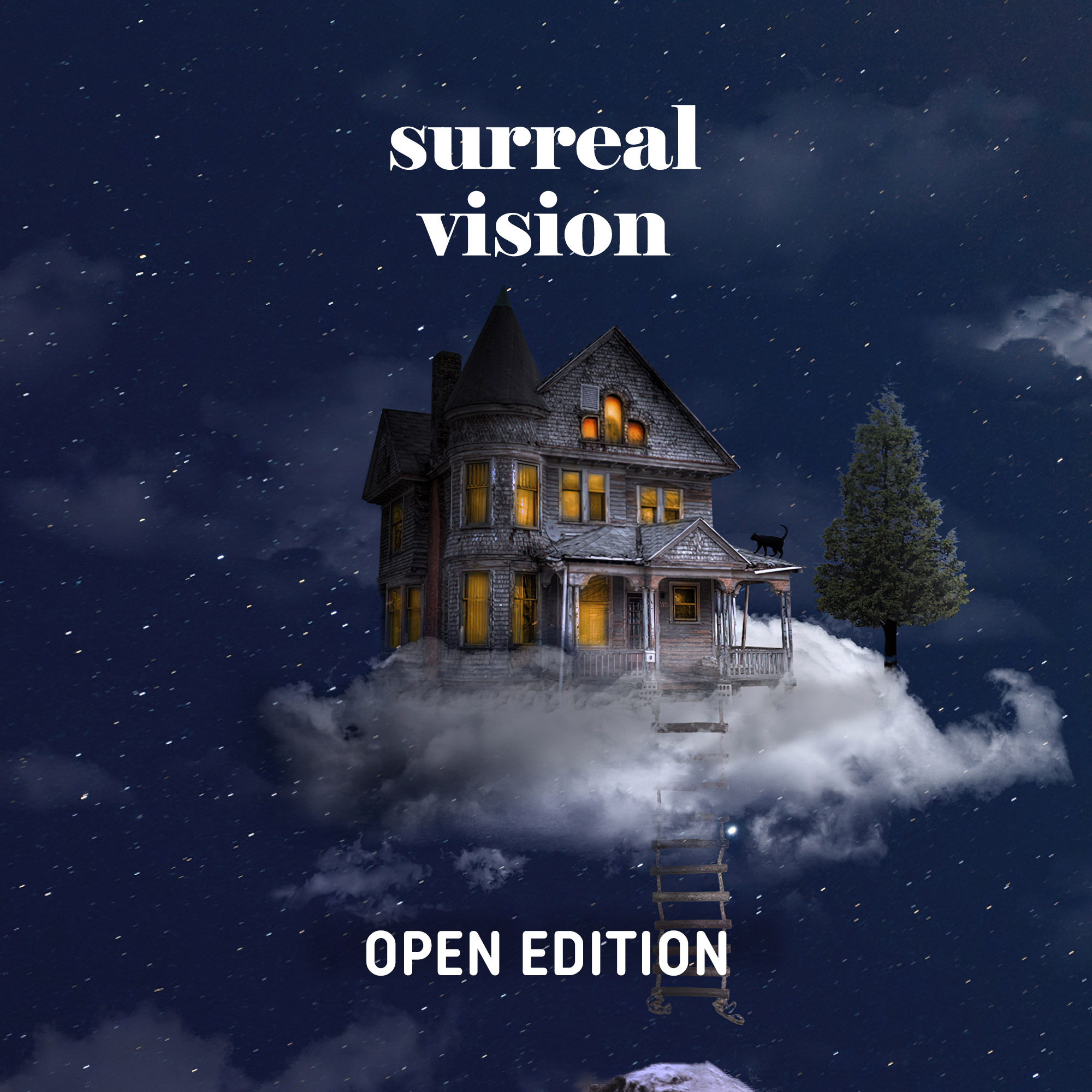 Surreal Vision | Open Edition
