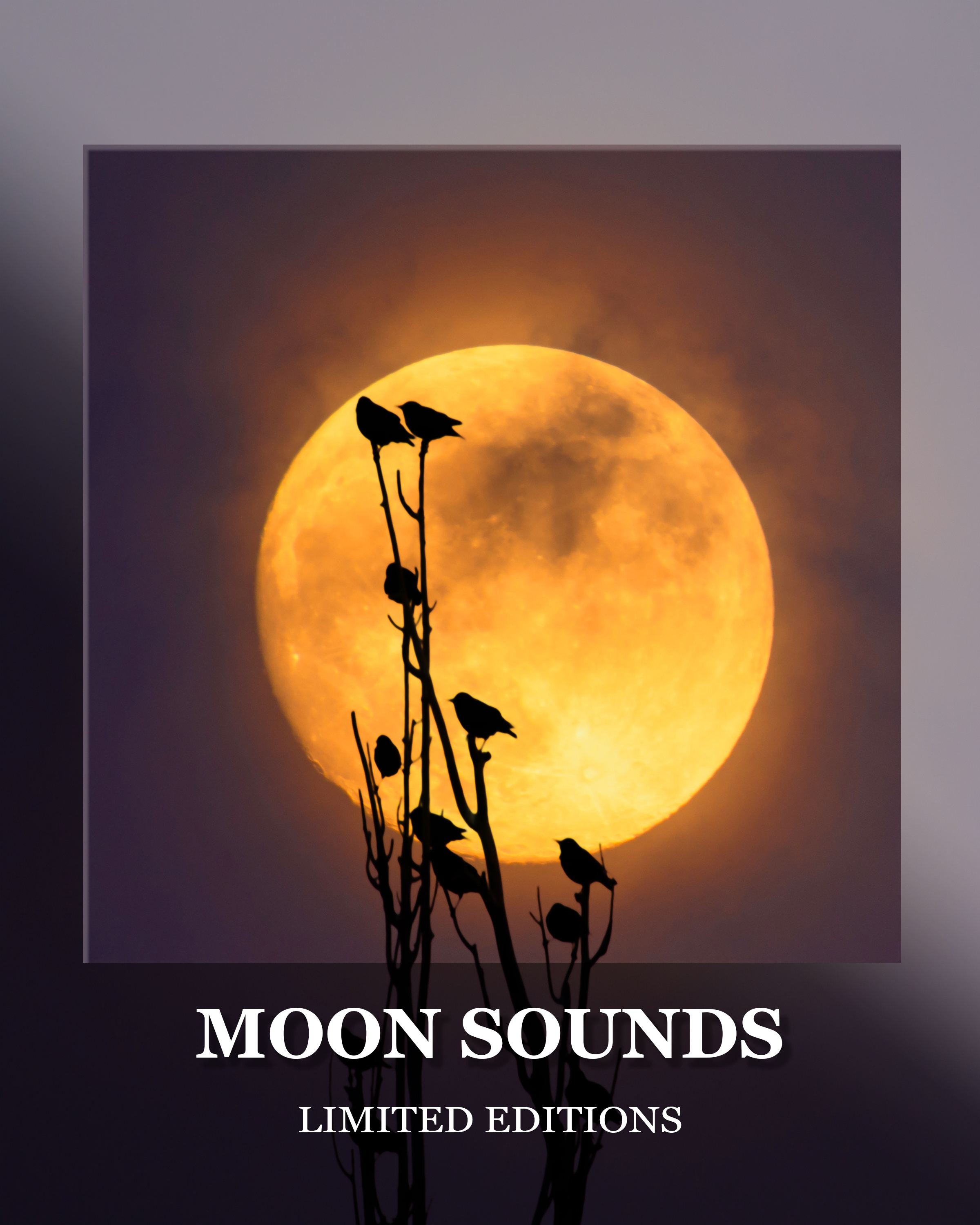 Moon Sounds