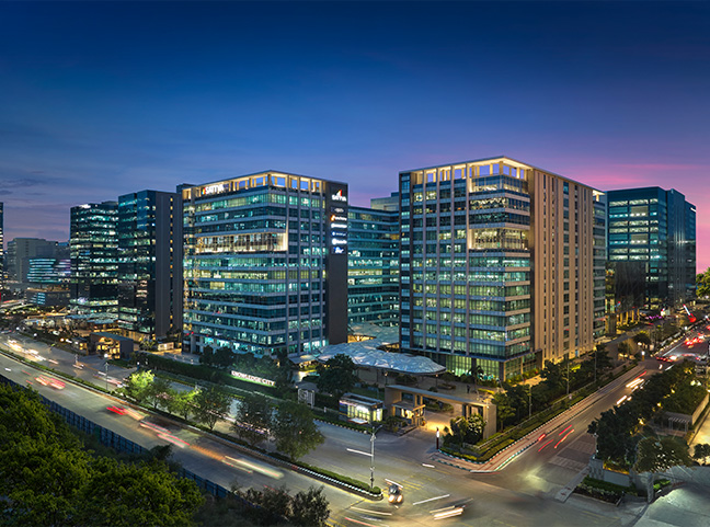 sattvacity's NFT Collection