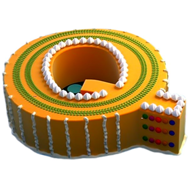 Letter Q Shaped Cake | Nigwa